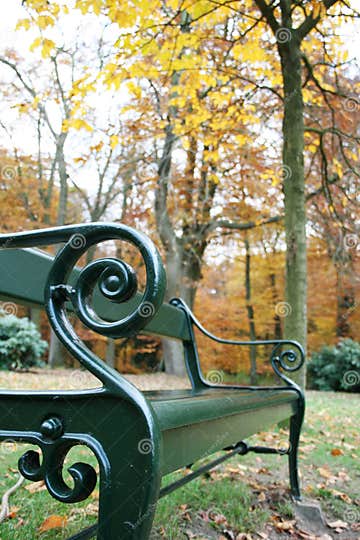 Bench in the park stock photo. Image of grass, resting - 3551262