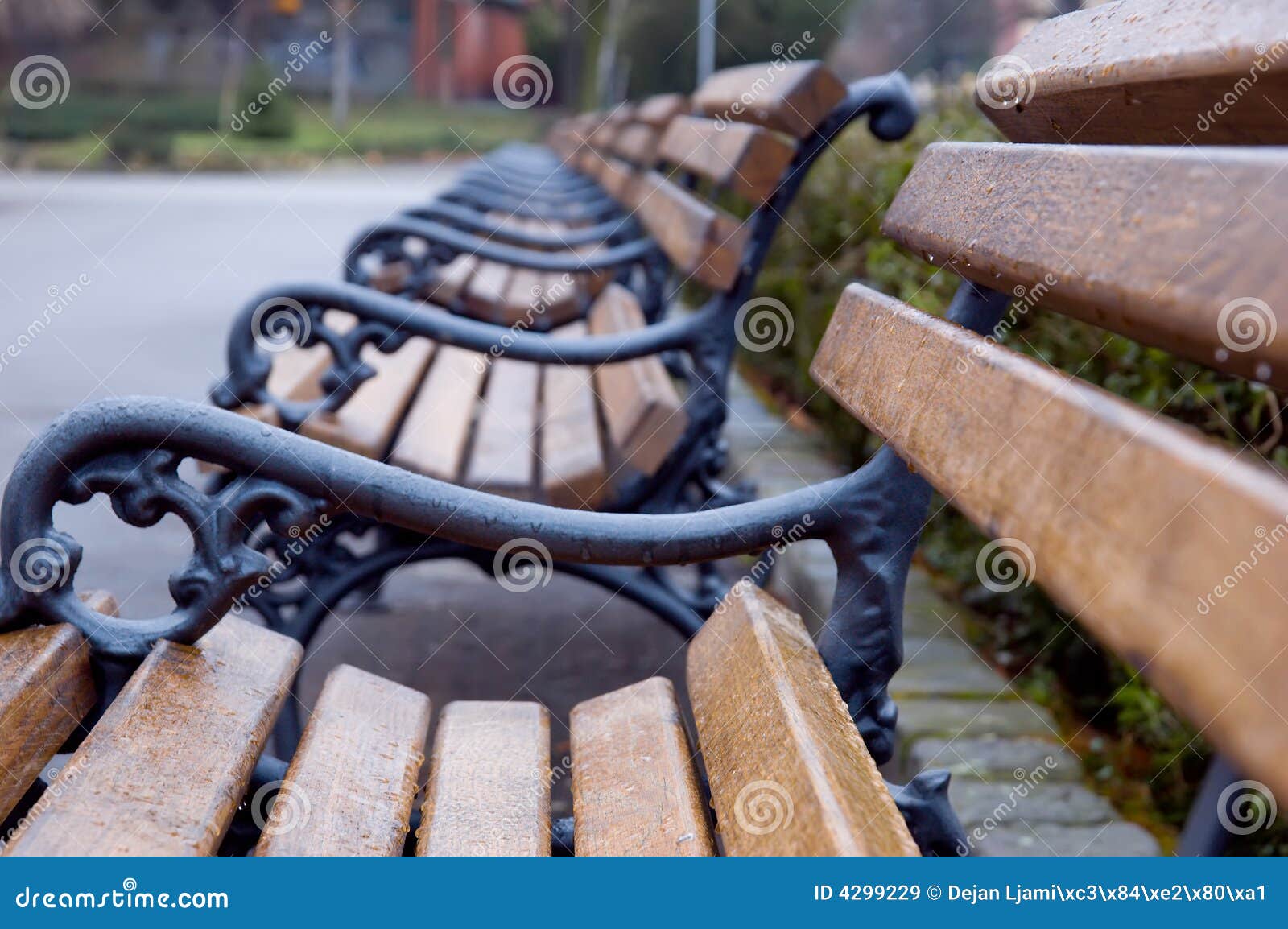 Bench in a park stock image. Image of outdoor, lush, passage - 4299229