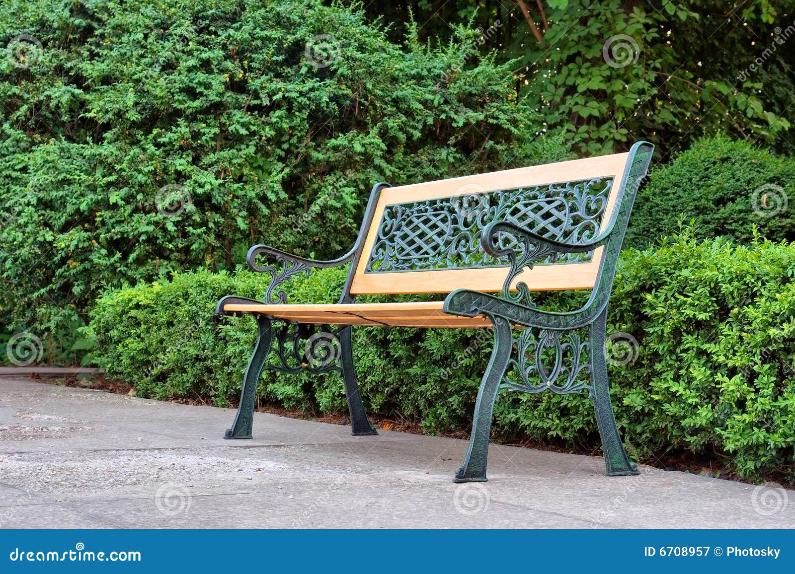 Bench in park stock image. Image of plant, green, odessa - 6708957