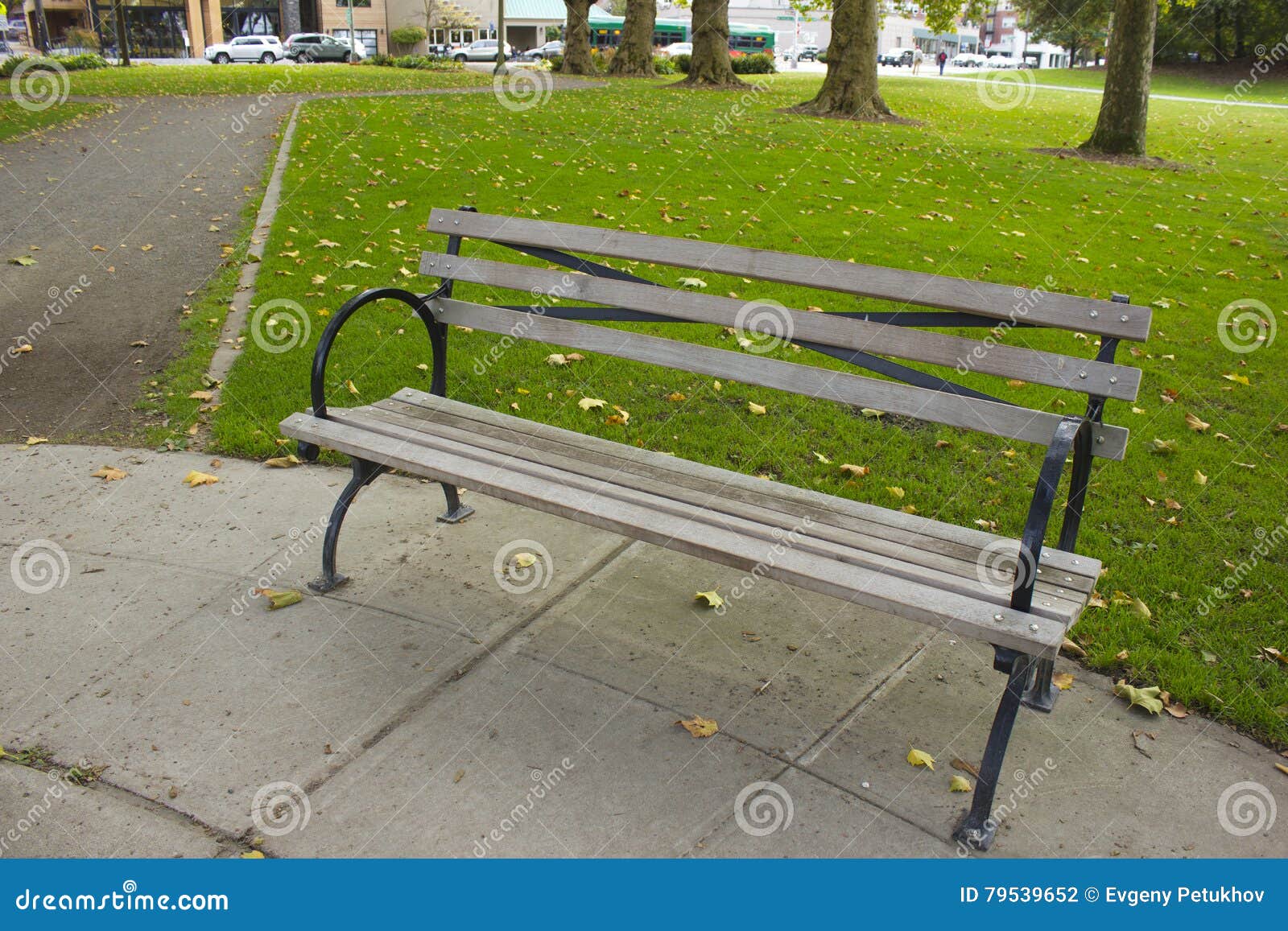 Bench in the park stock photo. Image of color, wood, park - 79539652