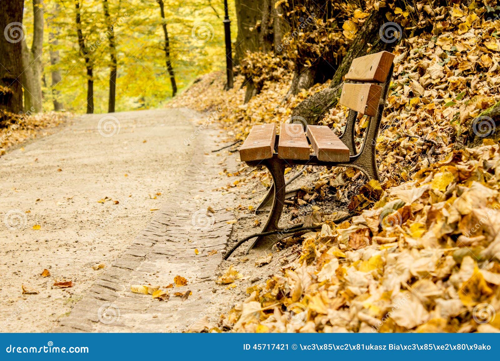 Bench in the park autumn stock image. Image of autumn - 45717421