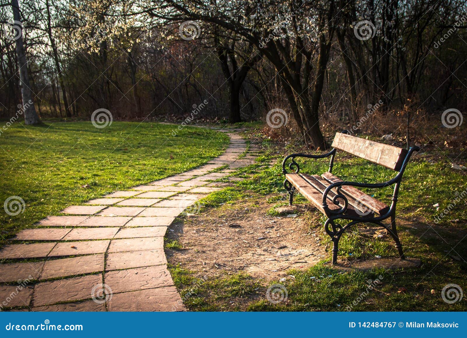 Bench in the Park, Beginning of Spring Stock Image - Image of landscape ...