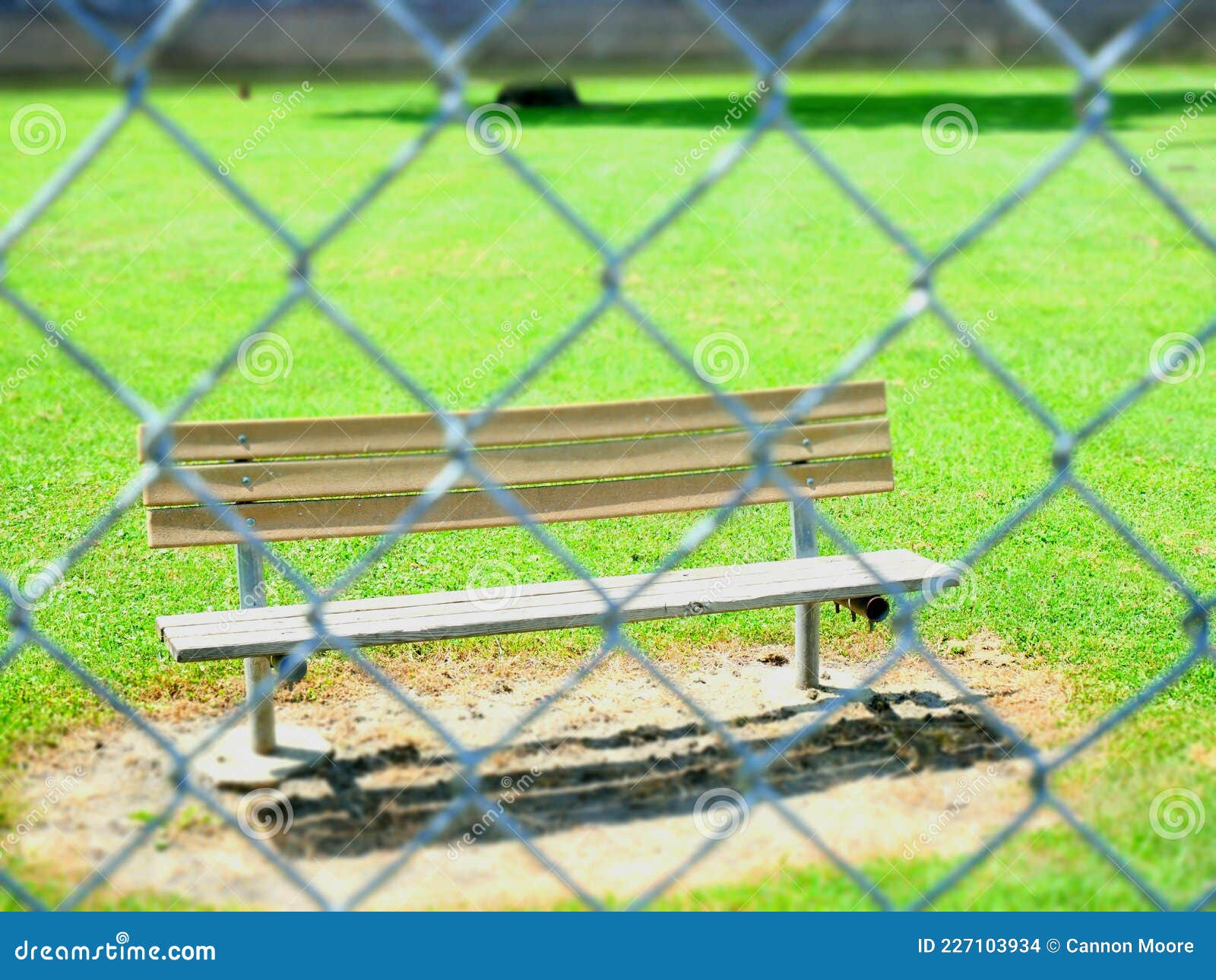 A bench at the park stock photo. Image of yard, branch - 227103934