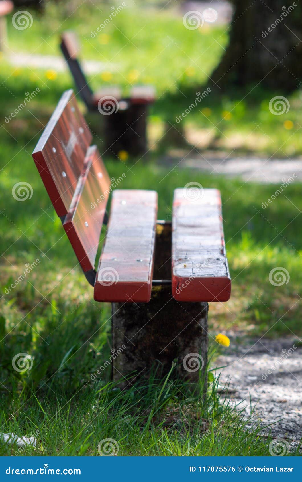 Bench in a park stock photo. Image of peaceful, garden - 117875576