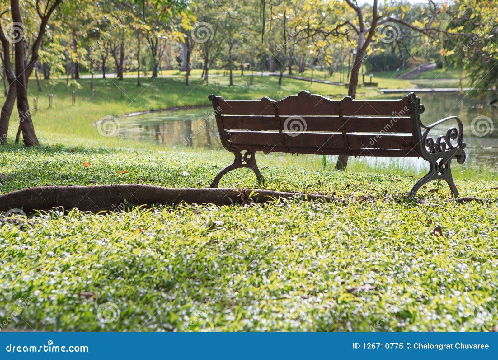 Bench in a park stock image. Image of rest, season, nature - 126710775