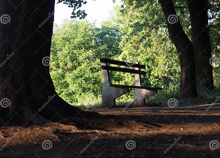 Bench in a park stock image. Image of bench, shine, brown - 94093849