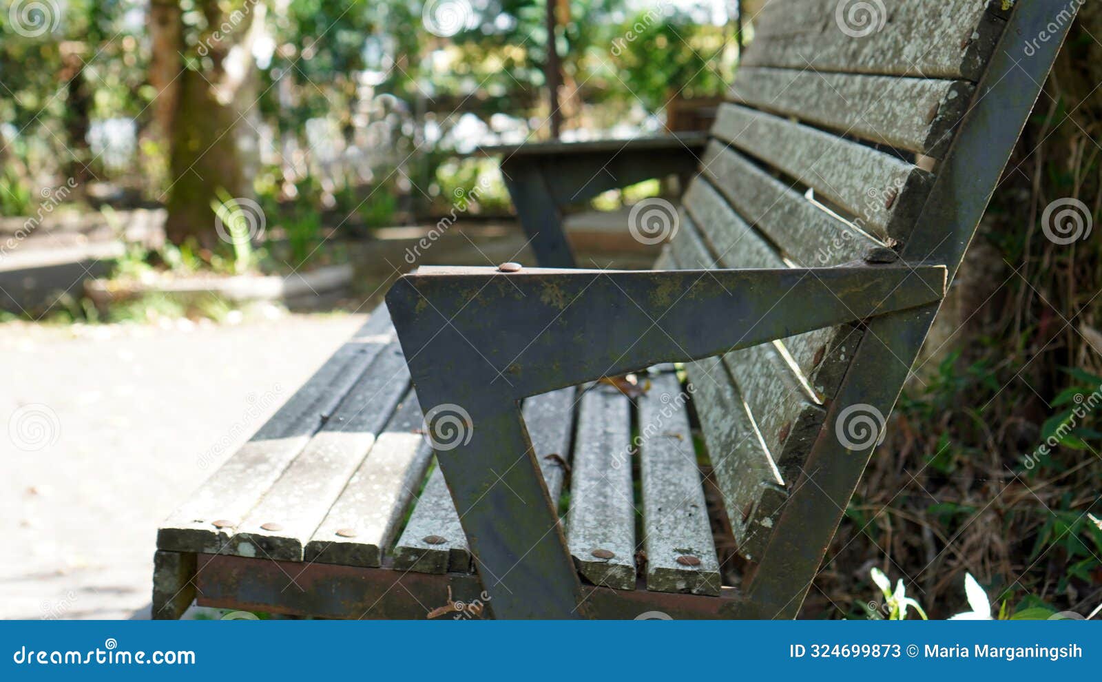 Bench In The Park. Closeup Of An Old Empty Wooden Bench In The Park ...