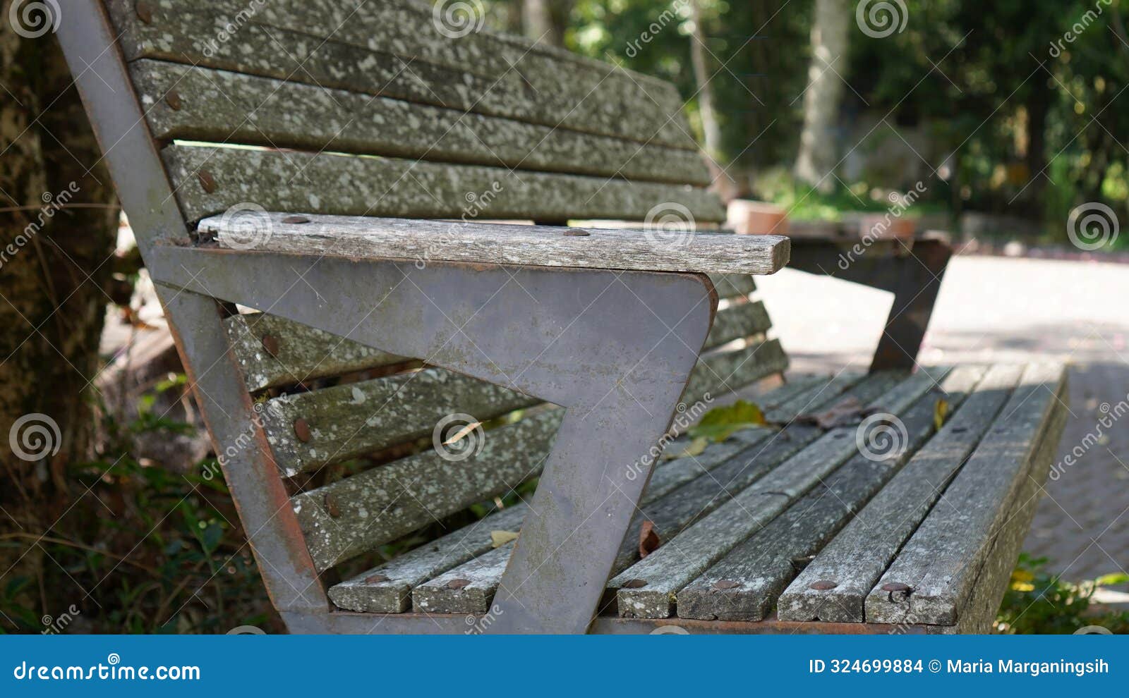 Bench In The Park. Closeup Of An Old Empty Wooden Bench In The Park ...