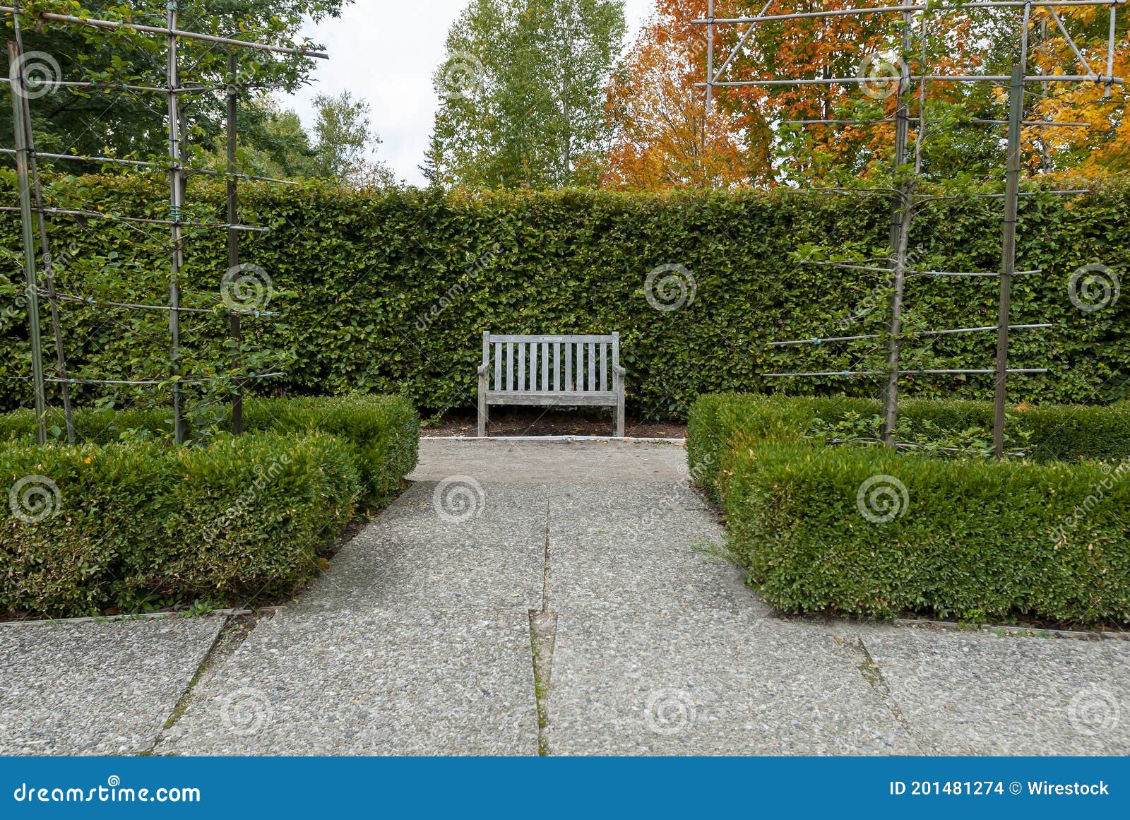 Bench in a Park with Decorative Shrubs and Trees Stock Photo - Image of ...