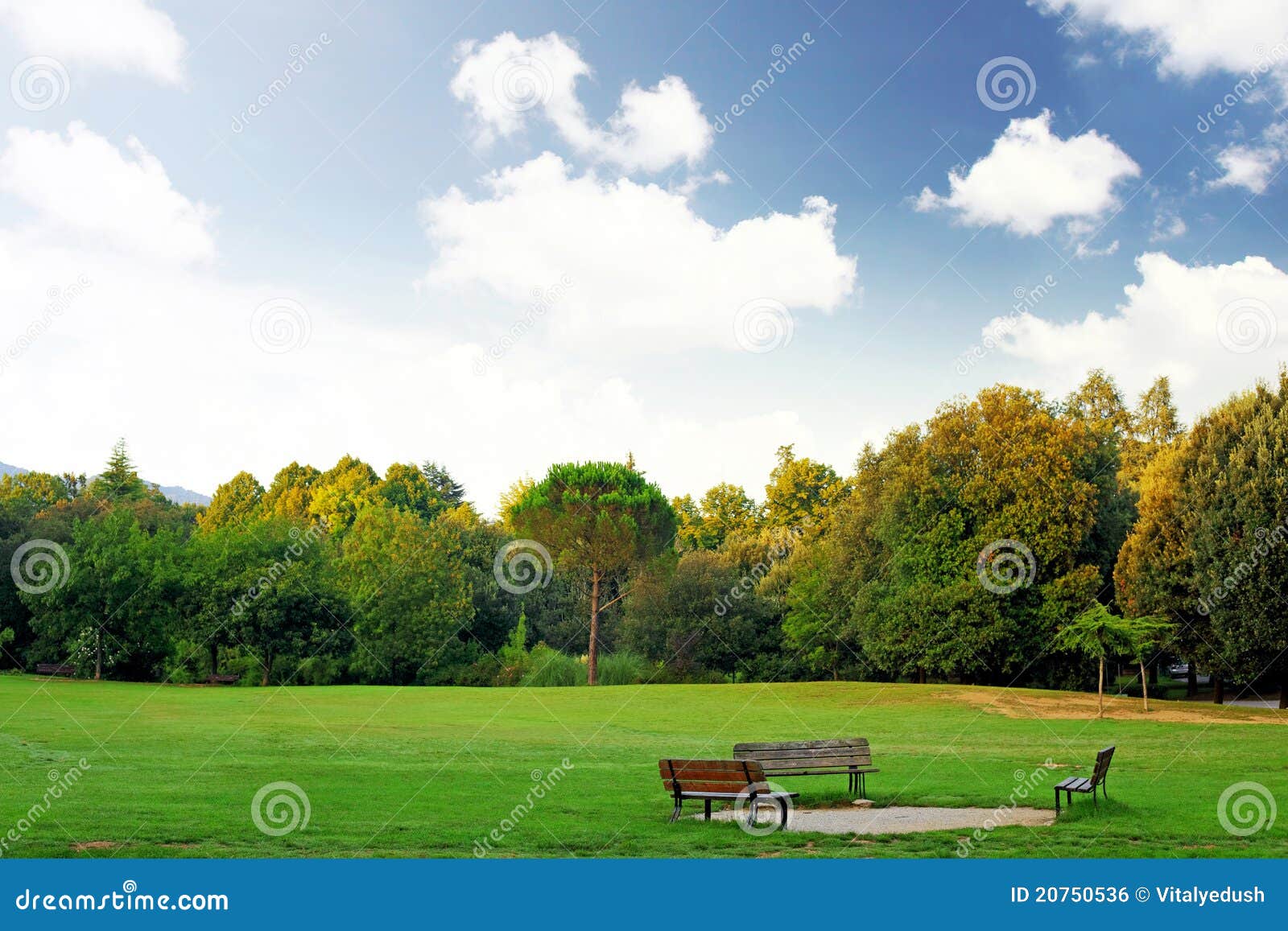 The Bench in the Park during Early Spring Day Stock Photo - Image of ...