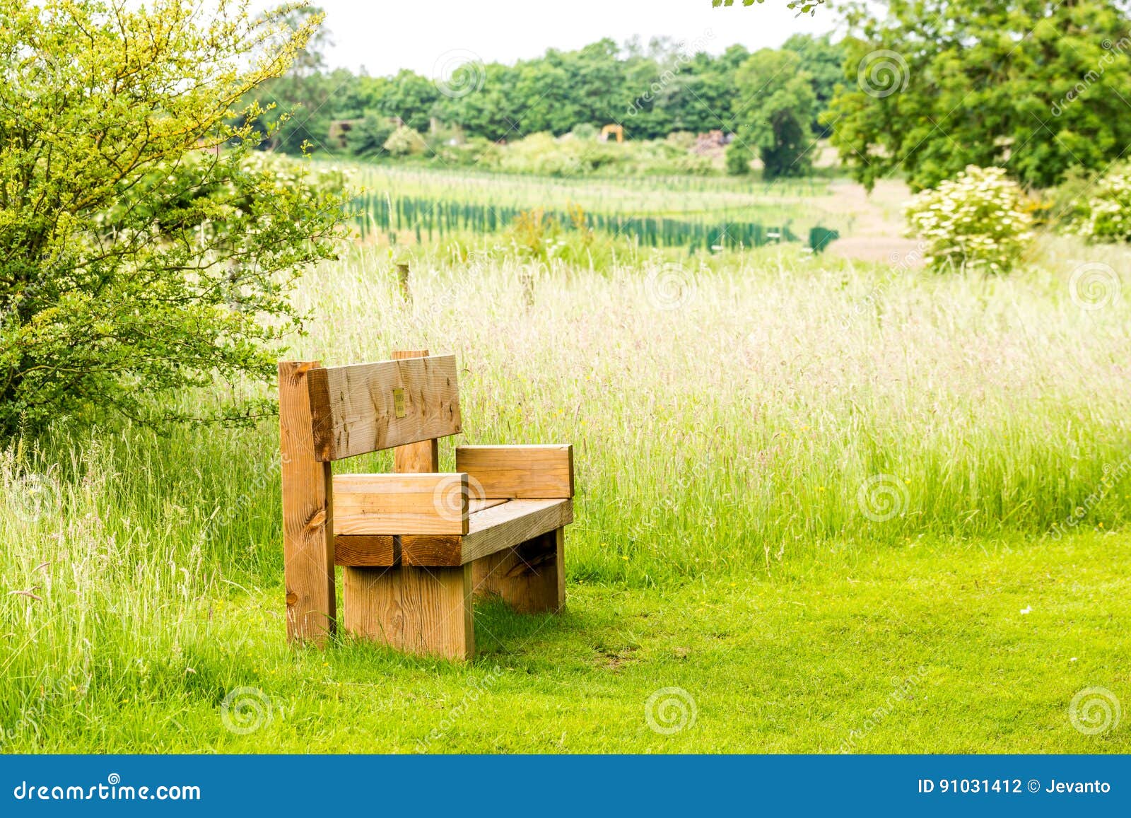 Bench in the Park on Footpath Background Stock Photo - Image of path ...