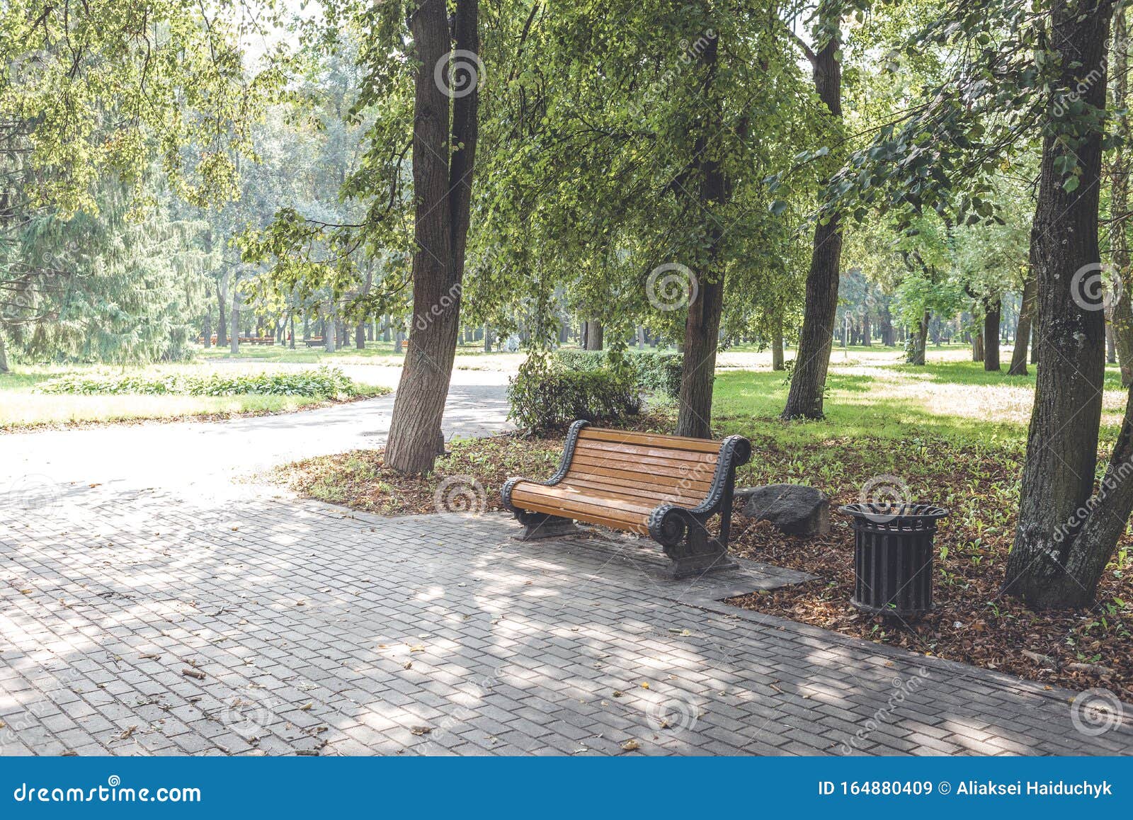 Bench in the Park among Green Trees in the Forest Along Which There is ...