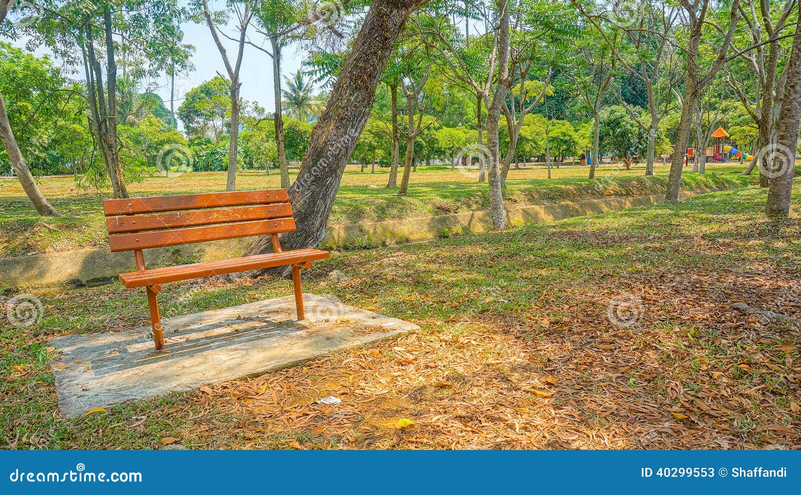 Bench in the park stock image. Image of rays, park, country - 40299553