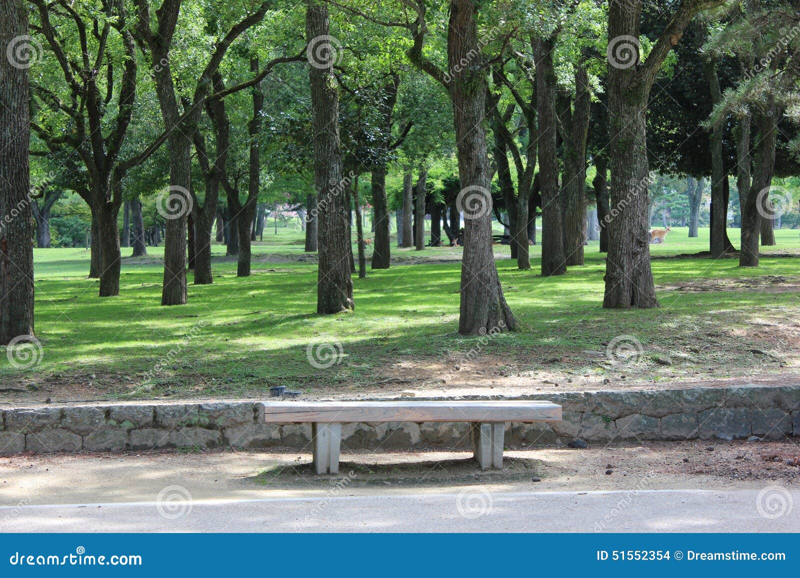 Bench in park stock photo. Image of outdoor, sunny, bench - 51552354
