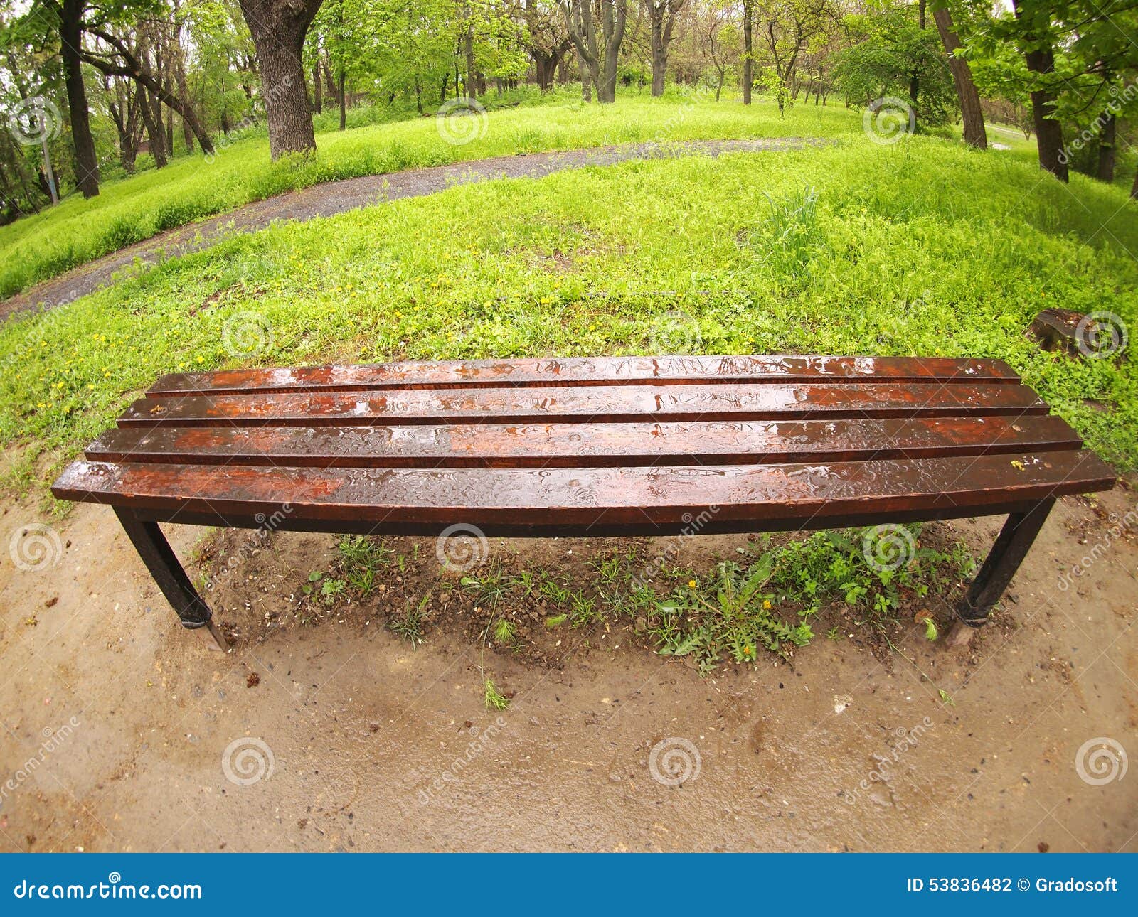 Bench in the Park Just after a Spring Rain Stock Photo - Image of ...