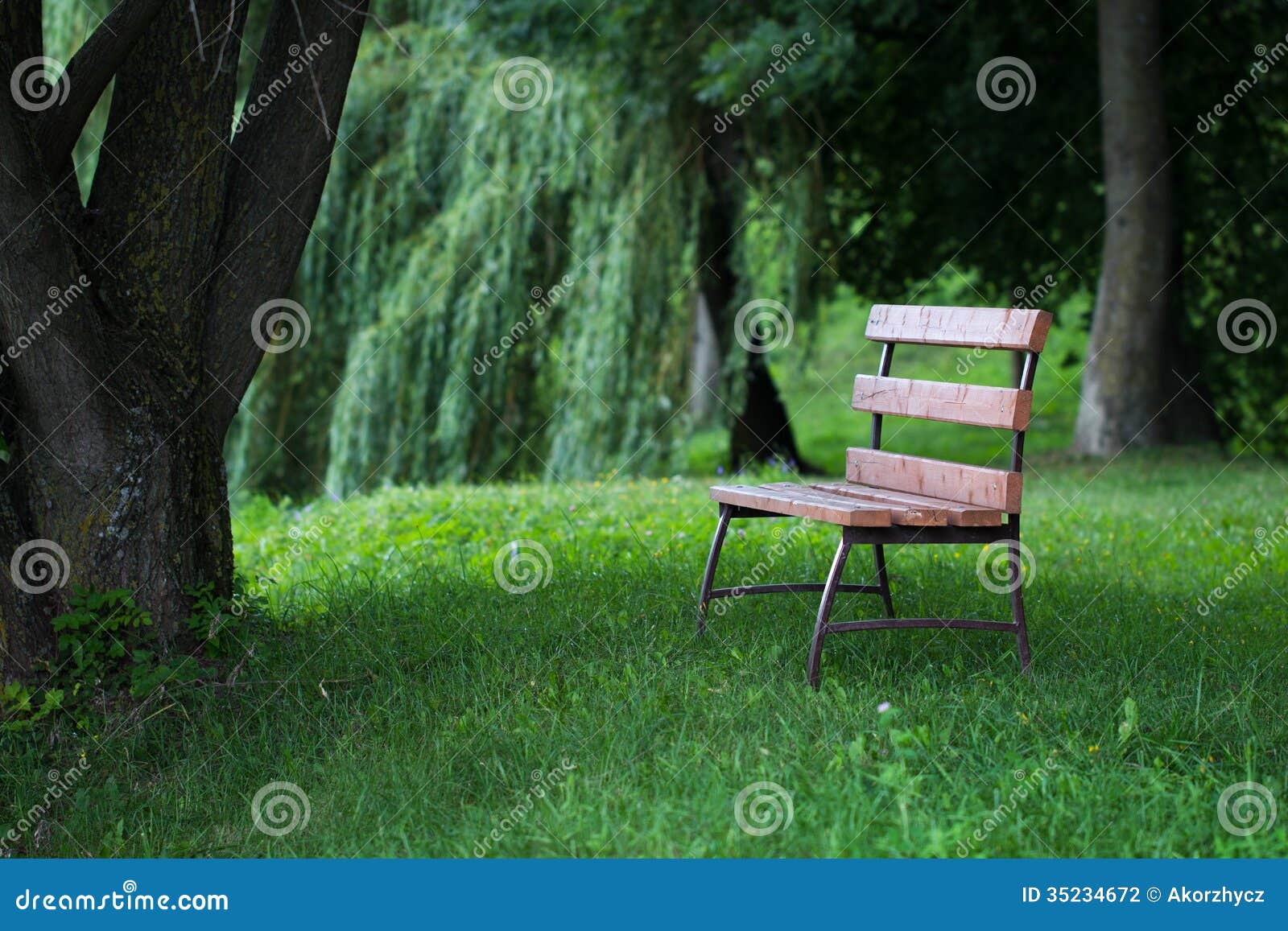 Bench in park stock photo. Image of lawn, shadow, bench - 35234672