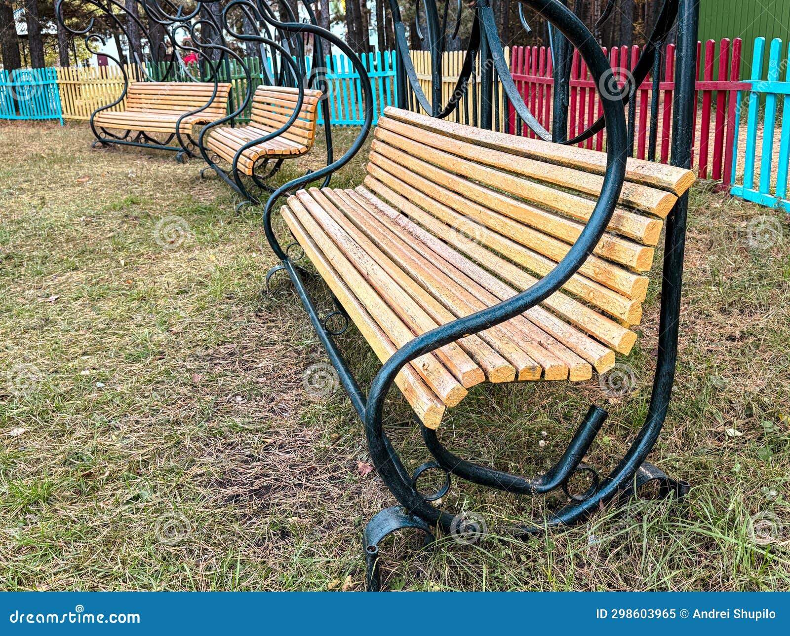 Bench in a park in nature stock image. Image of object - 298603965
