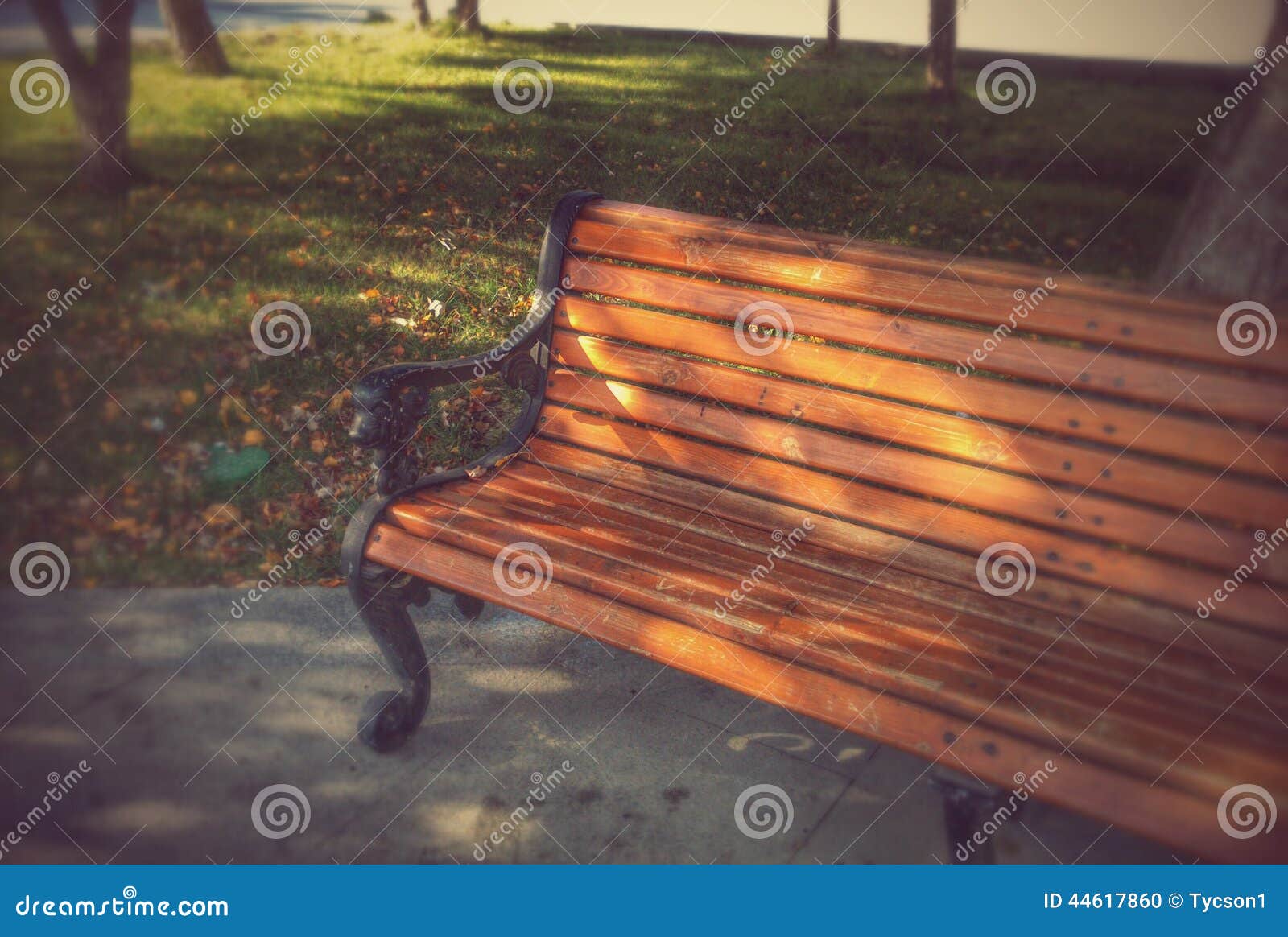 Bench in park stock photo. Image of bench, relax, park - 44617860