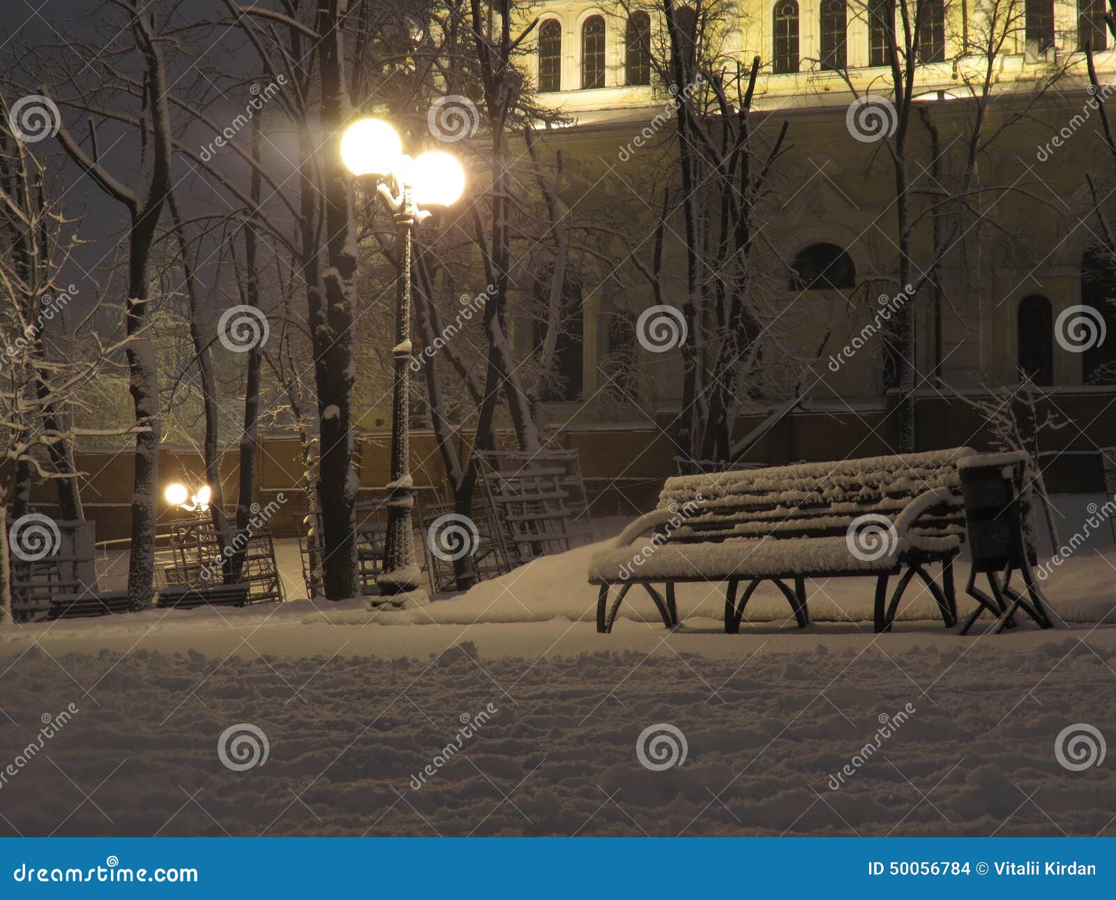 Bench in the park at night stock photo. Image of beauty - 50056784