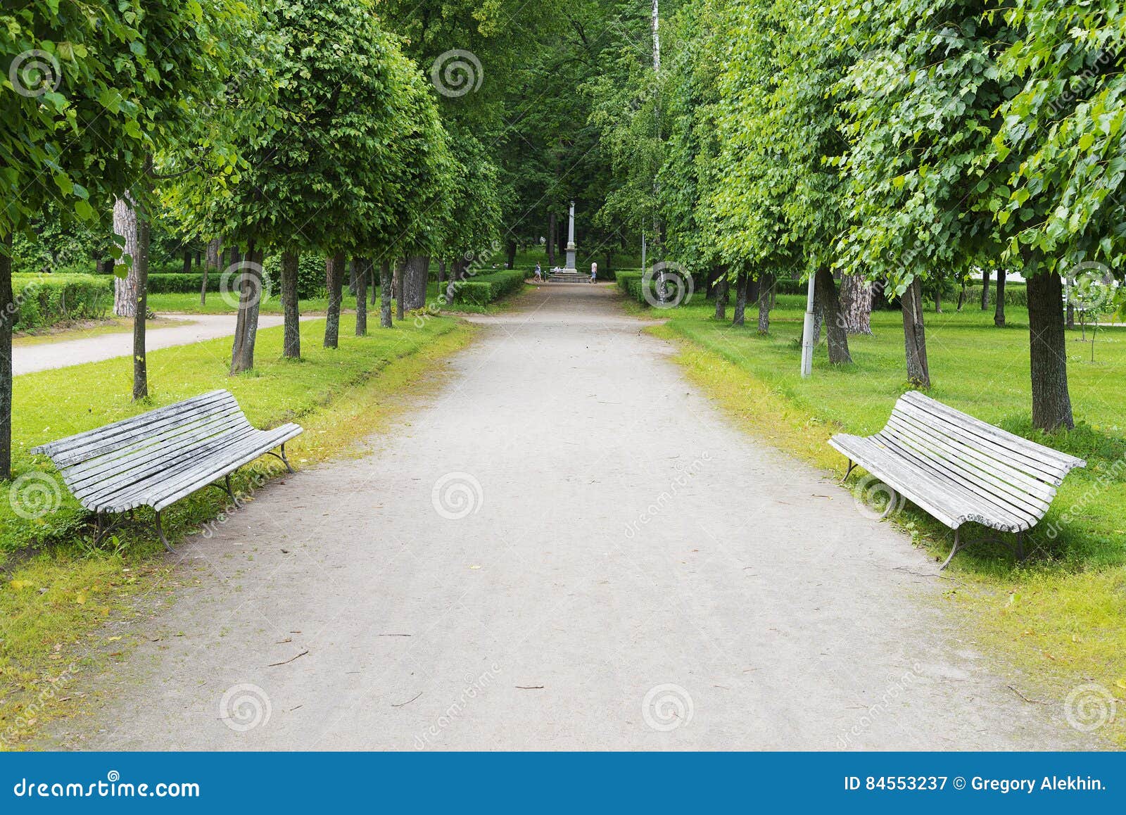 Bench in the Park. stock image. Image of bushes, tourism - 84553237