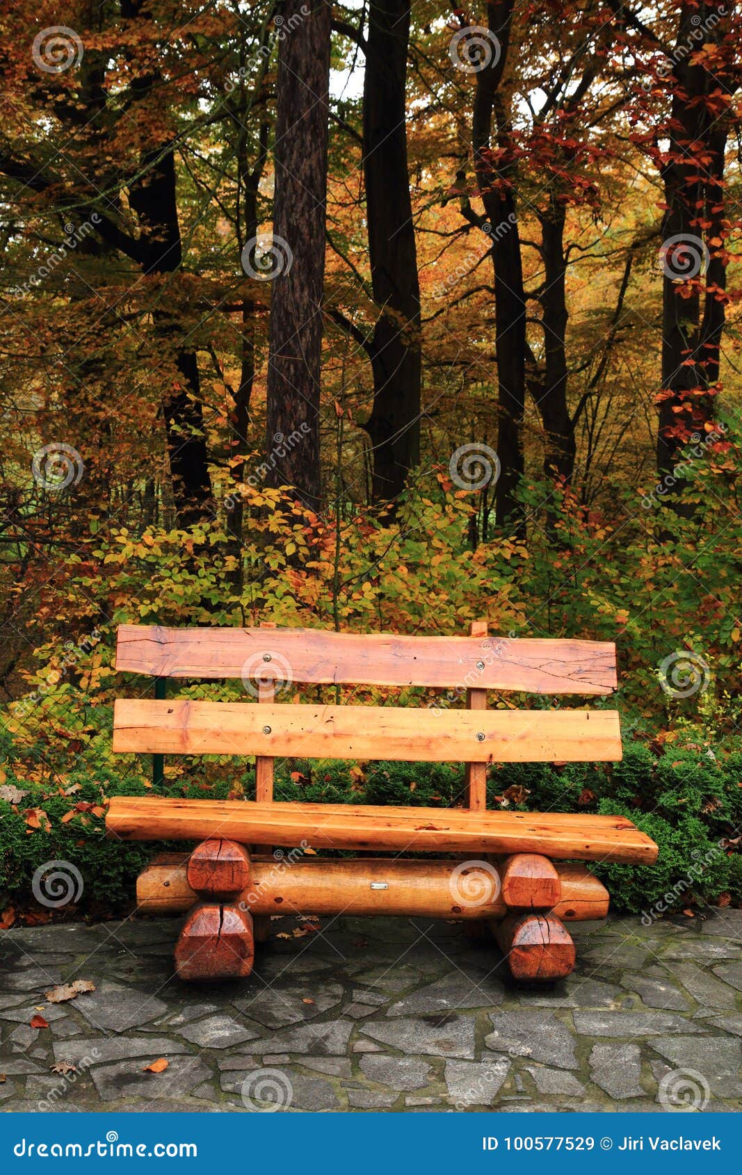 Bench in the park stock image. Image of scene, wood - 100577529