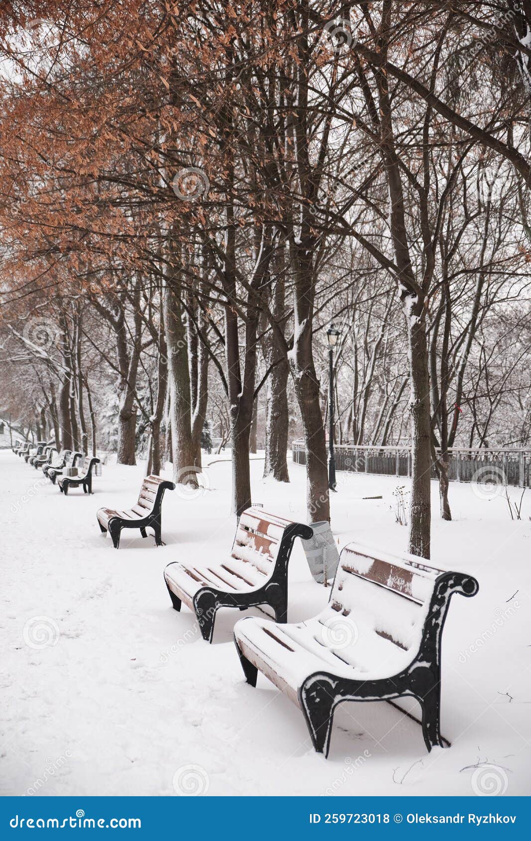 Bench in the Park in the Snow Stock Photo - Image of park, frost: 259723018