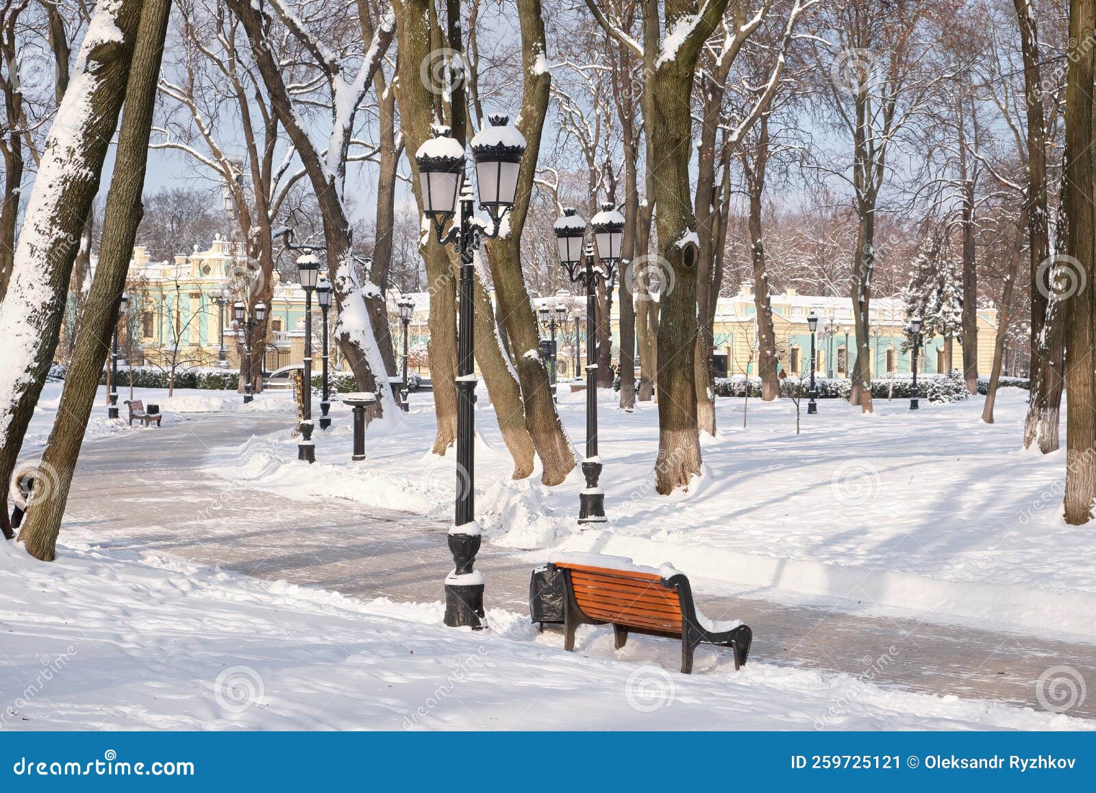 Bench in the Park in the Snow Stock Image - Image of cold, nature ...