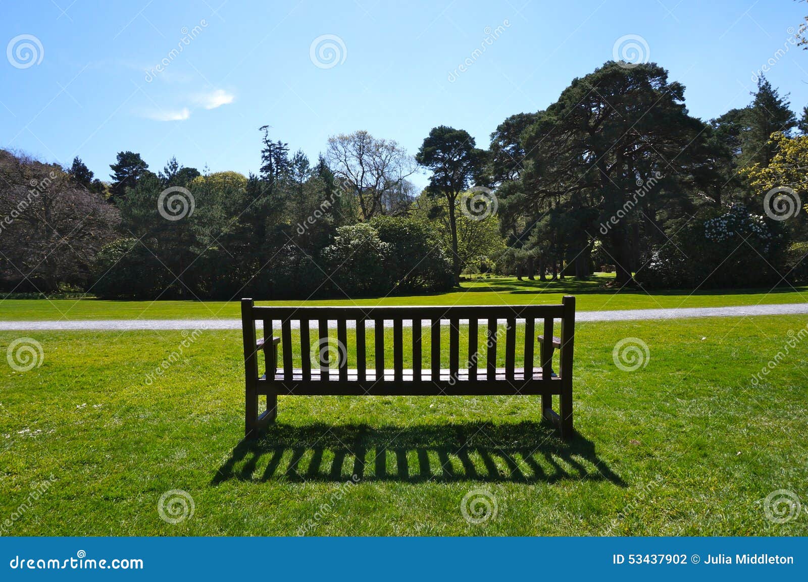 Bench on park stock photo. Image of grass, wild, travel - 53437902