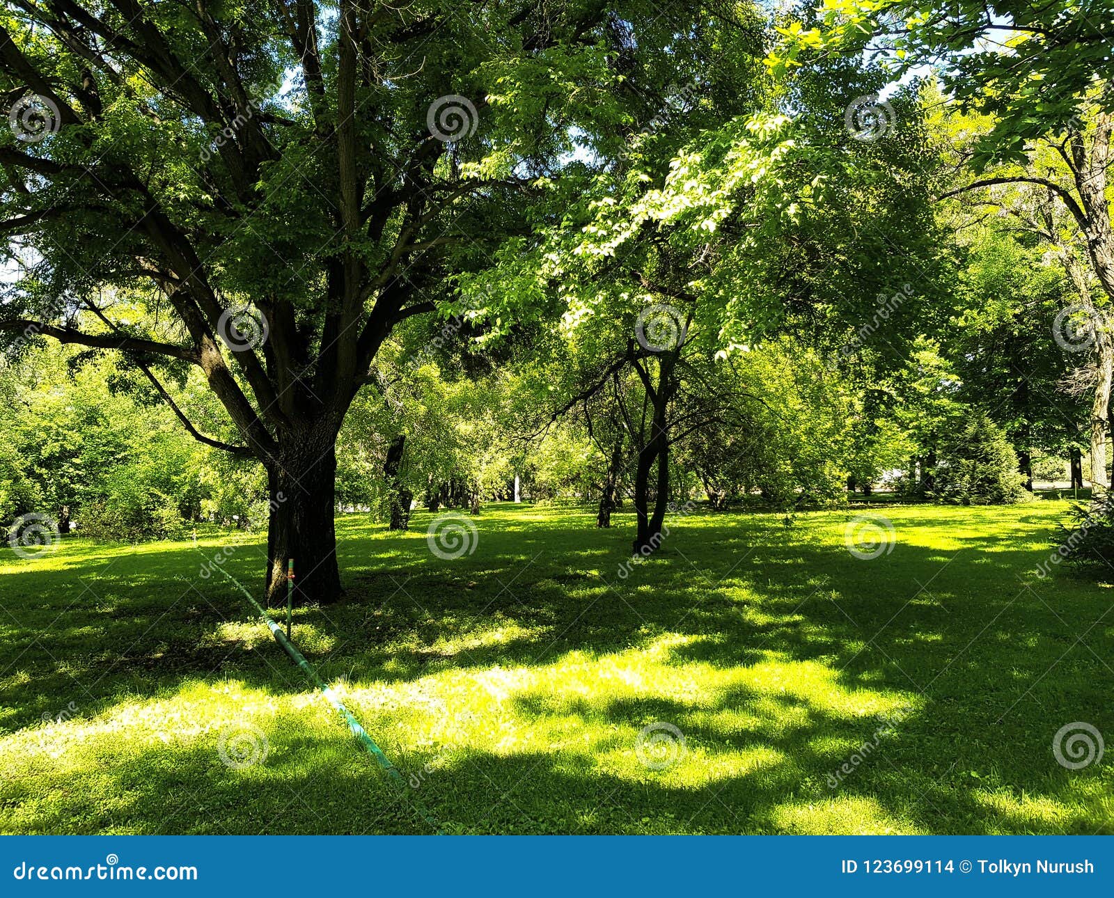 Public Park with Green Grass Field Stock Photo - Image of region ...