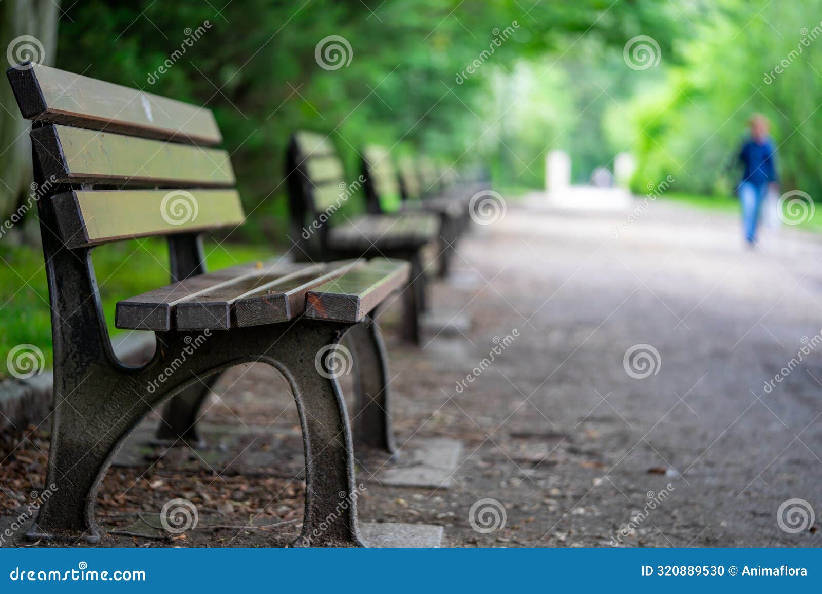 Bench in the Park, Springtime Relax Area Stock Photo - Image of summer ...
