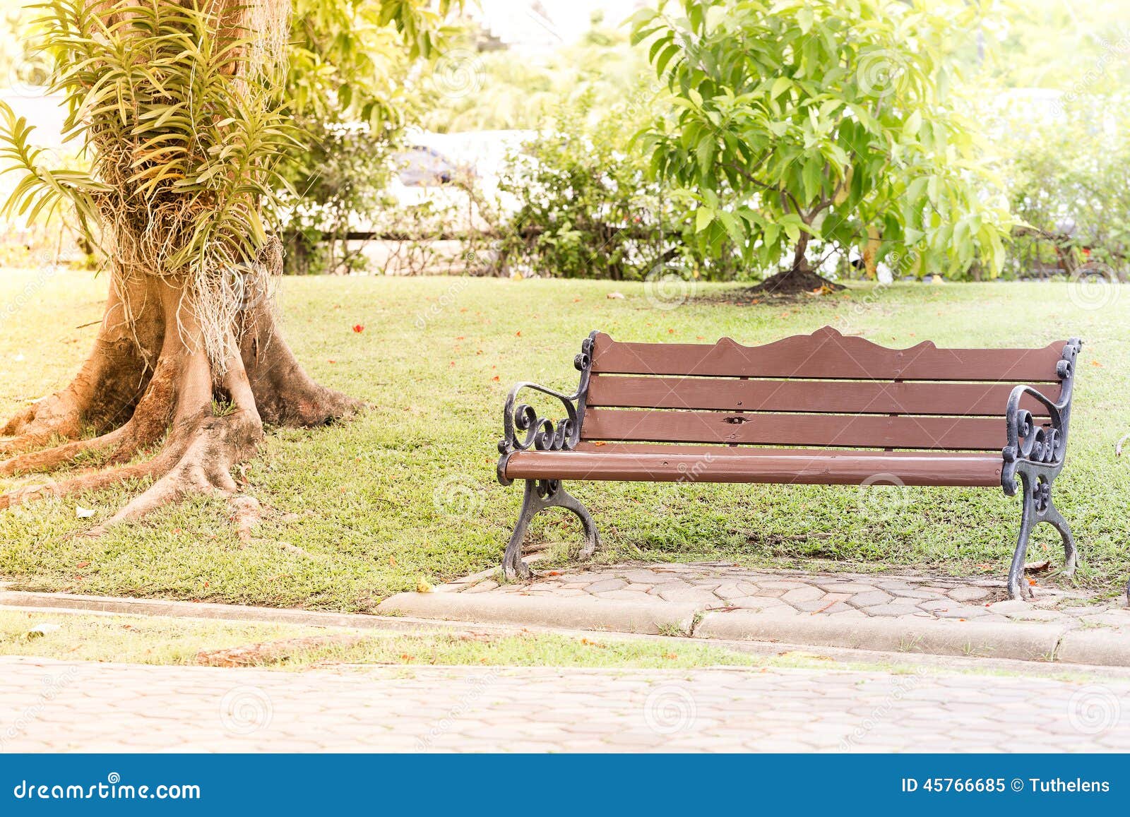 A Bench in the Park on a Sunny Day Stock Image - Image of natural ...
