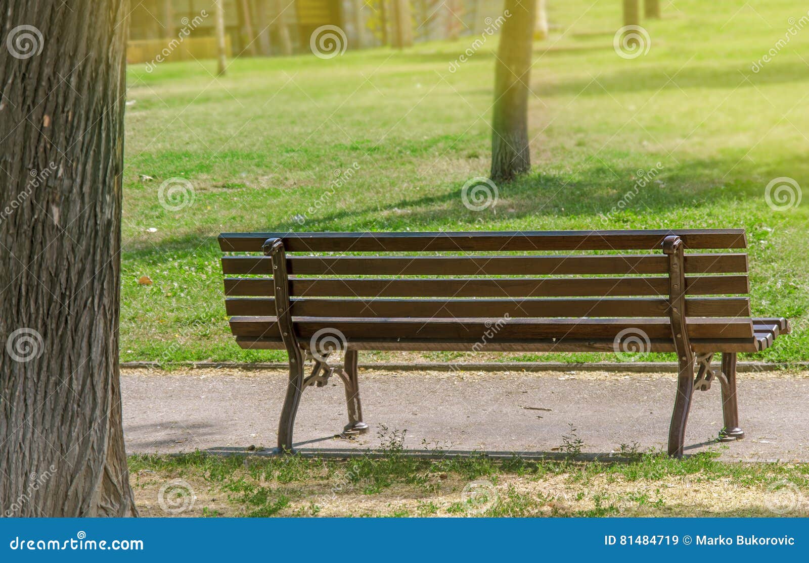 Bench in park on sunny day stock image. Image of bench - 81484719