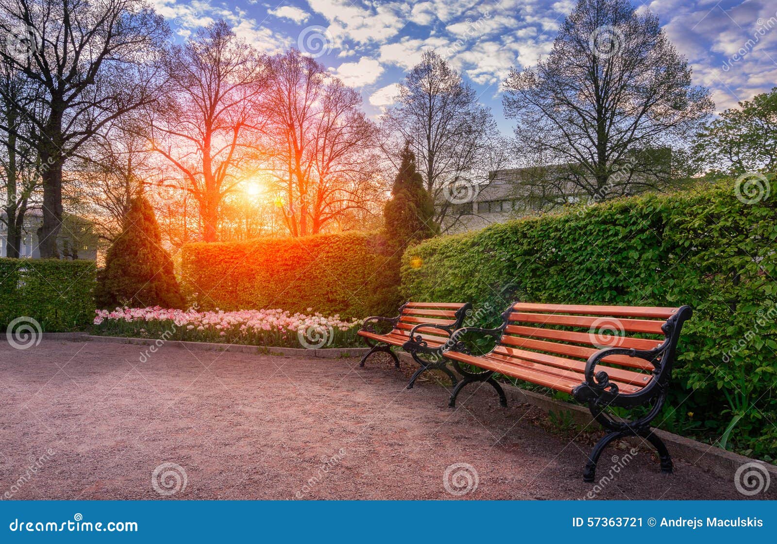 Bench in the Park at Sunset Stock Image - Image of park, life: 57363721