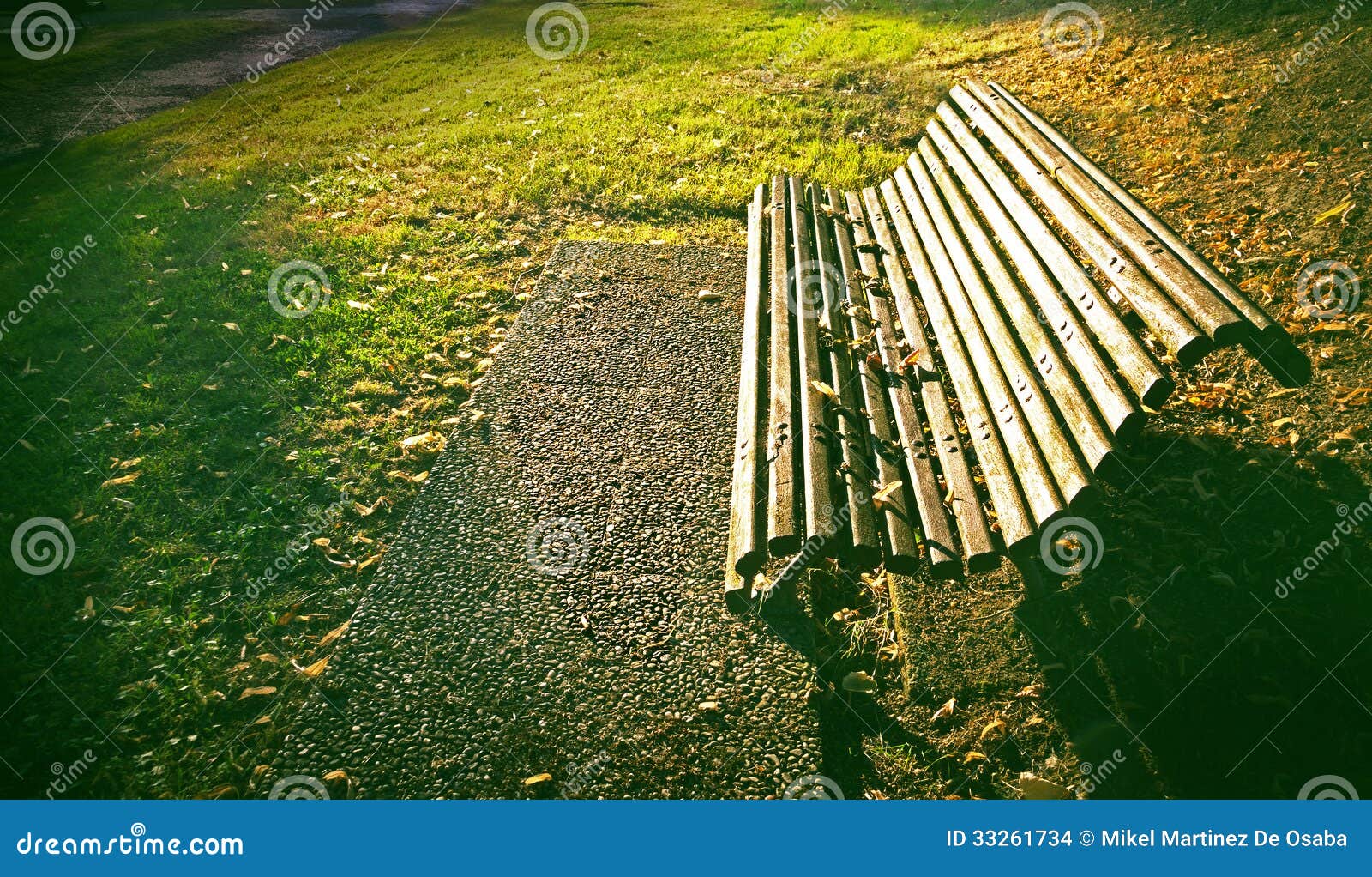 Bench on a park stock photo. Image of tranquil, nature - 33261734