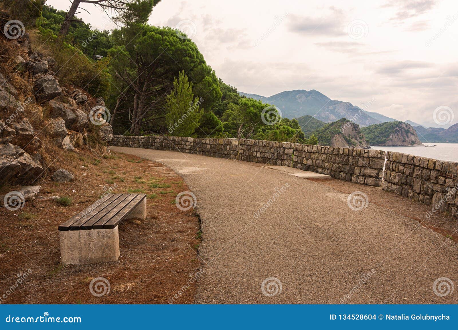 Bench in the Park Near the Sea Stock Photo - Image of mountain ...