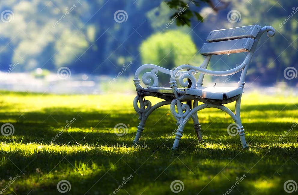Bench in park stock photo. Image of park, nature, white - 30425566