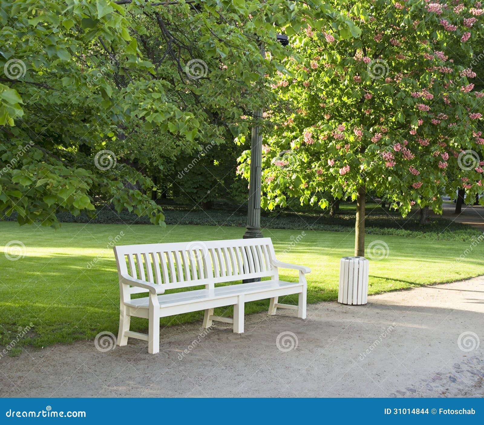 Bench in the park stock photo. Image of scene, summer - 31014844