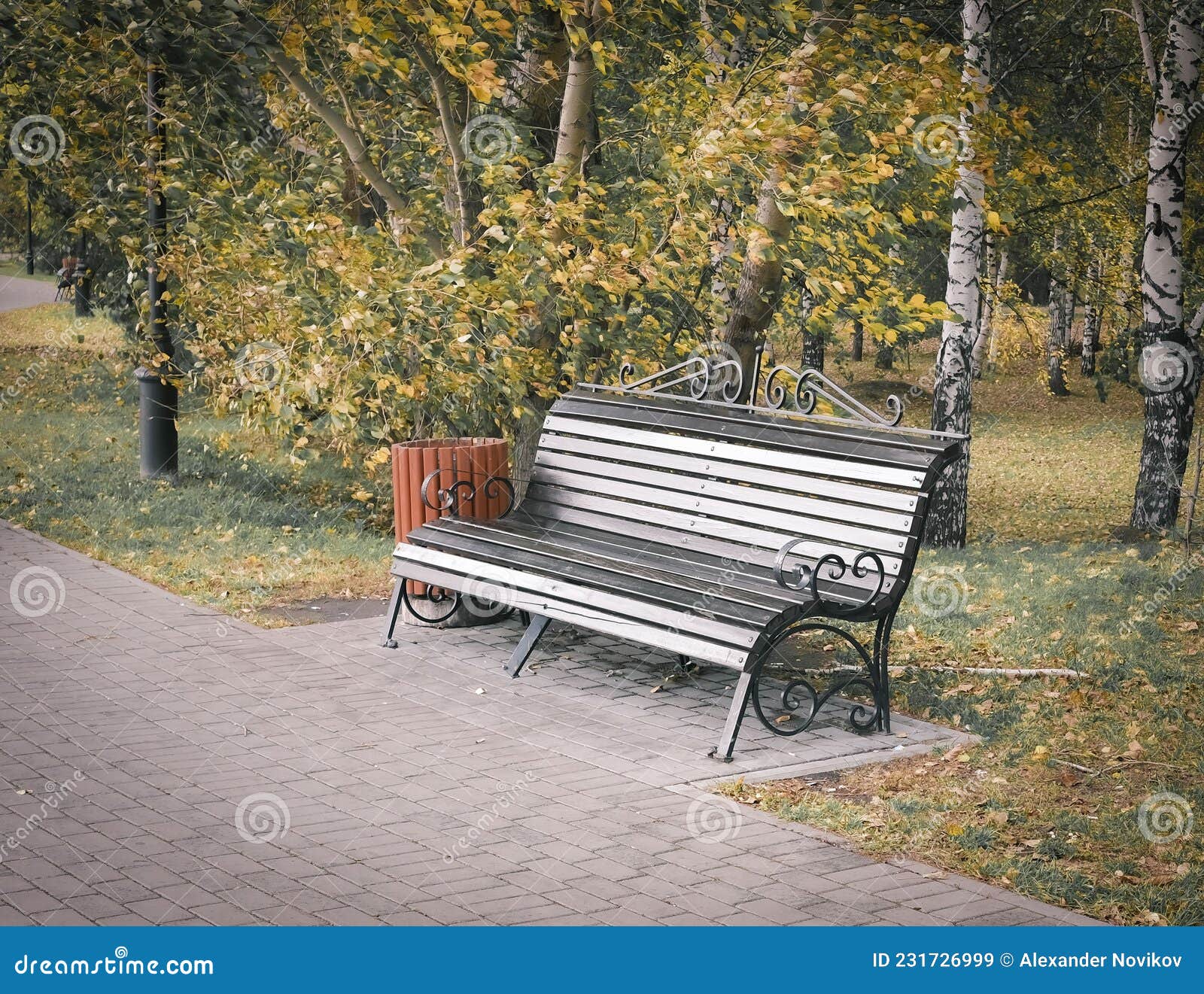 A Bench in the Park Windy Weather in Autumn Stock Image - Image of ...