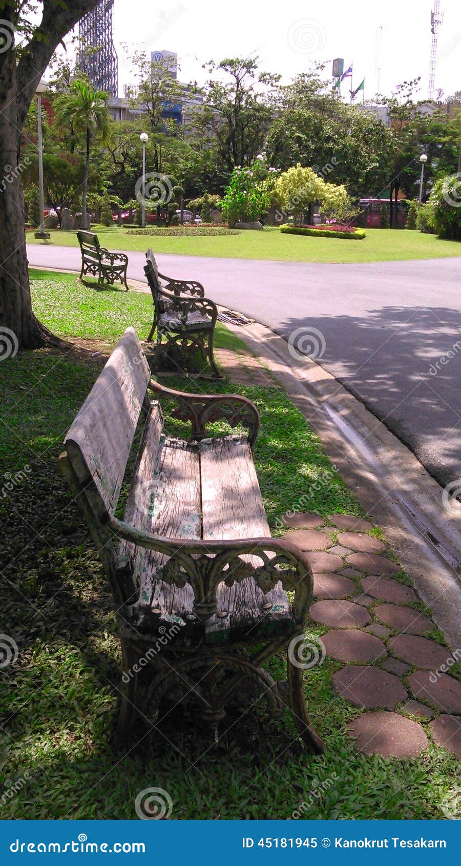 Bench in the park stock image. Image of beautiful, bench - 45181945