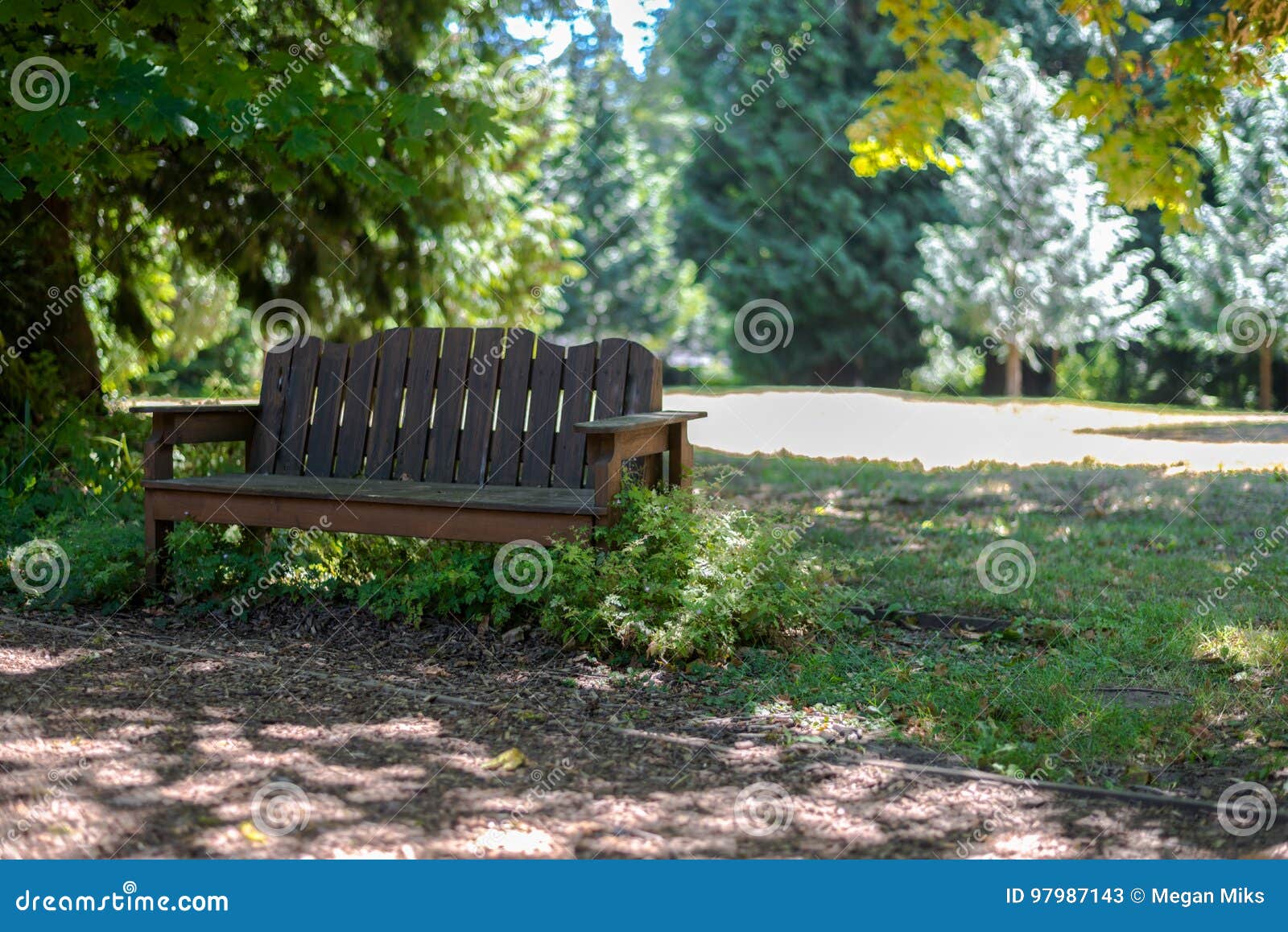Bench in the Park stock image. Image of grass, nature - 97987143