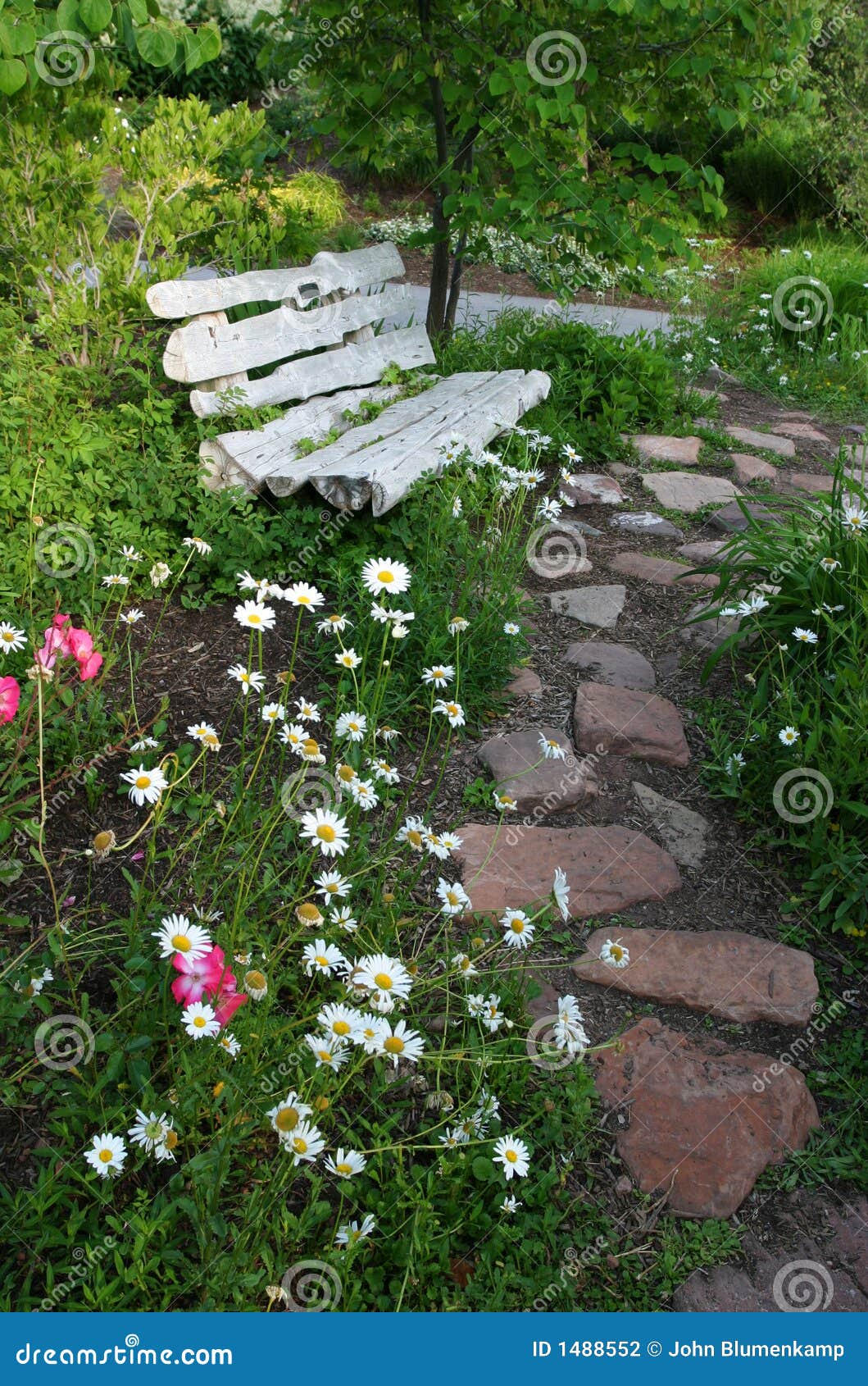 Bench and Path stock photo. Image of stone, quiet, peace - 1488552