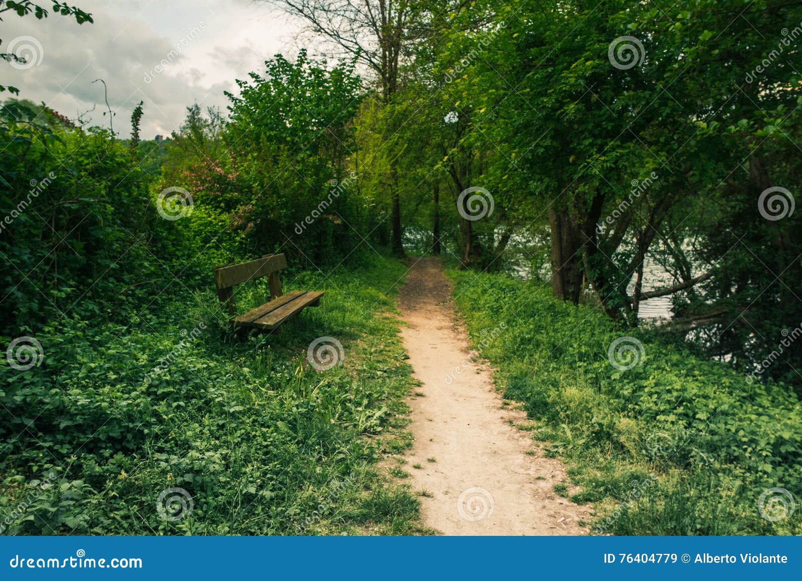 Bench and Path in a Green Park Stock Image - Image of green, forest ...