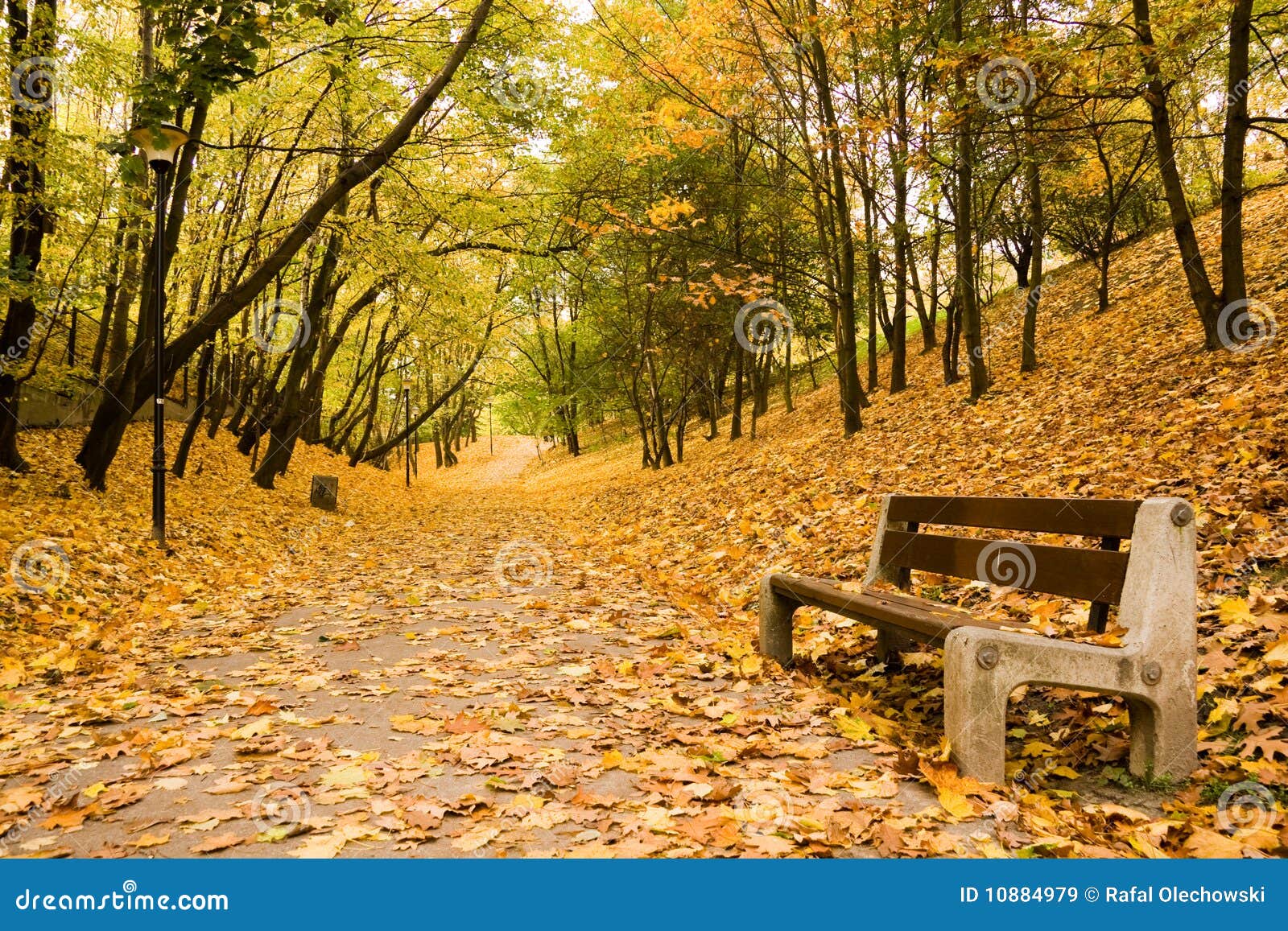 Bench on path in park stock image. Image of nature, vanishing - 10884979