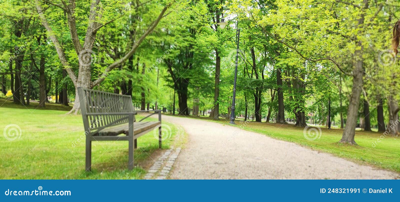 Bench Path Pebbles Sky Trees Nature Editorial Photo - Image of park ...
