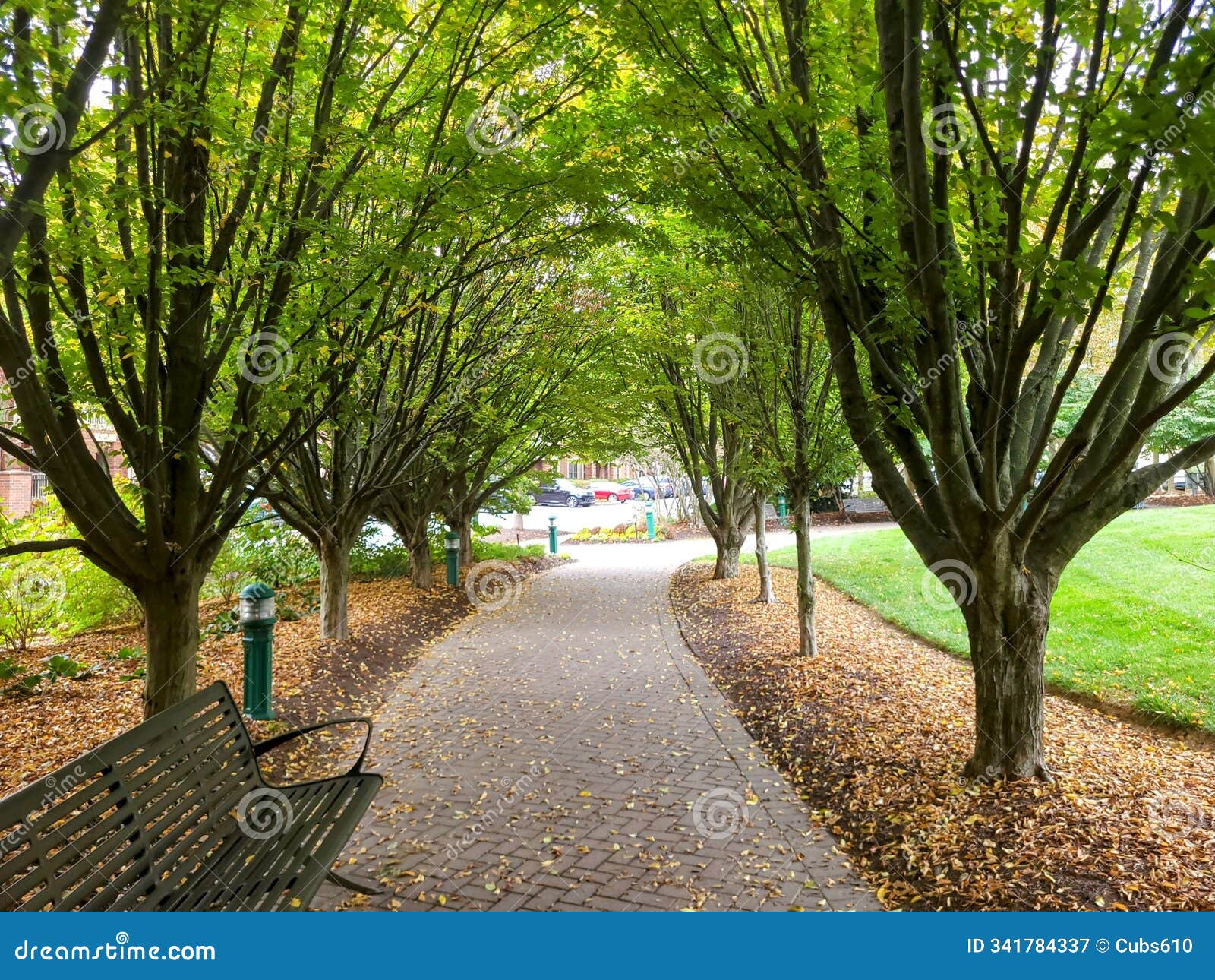 Pathway And Benches Royalty-Free Stock Image | CartoonDealer.com #27300142