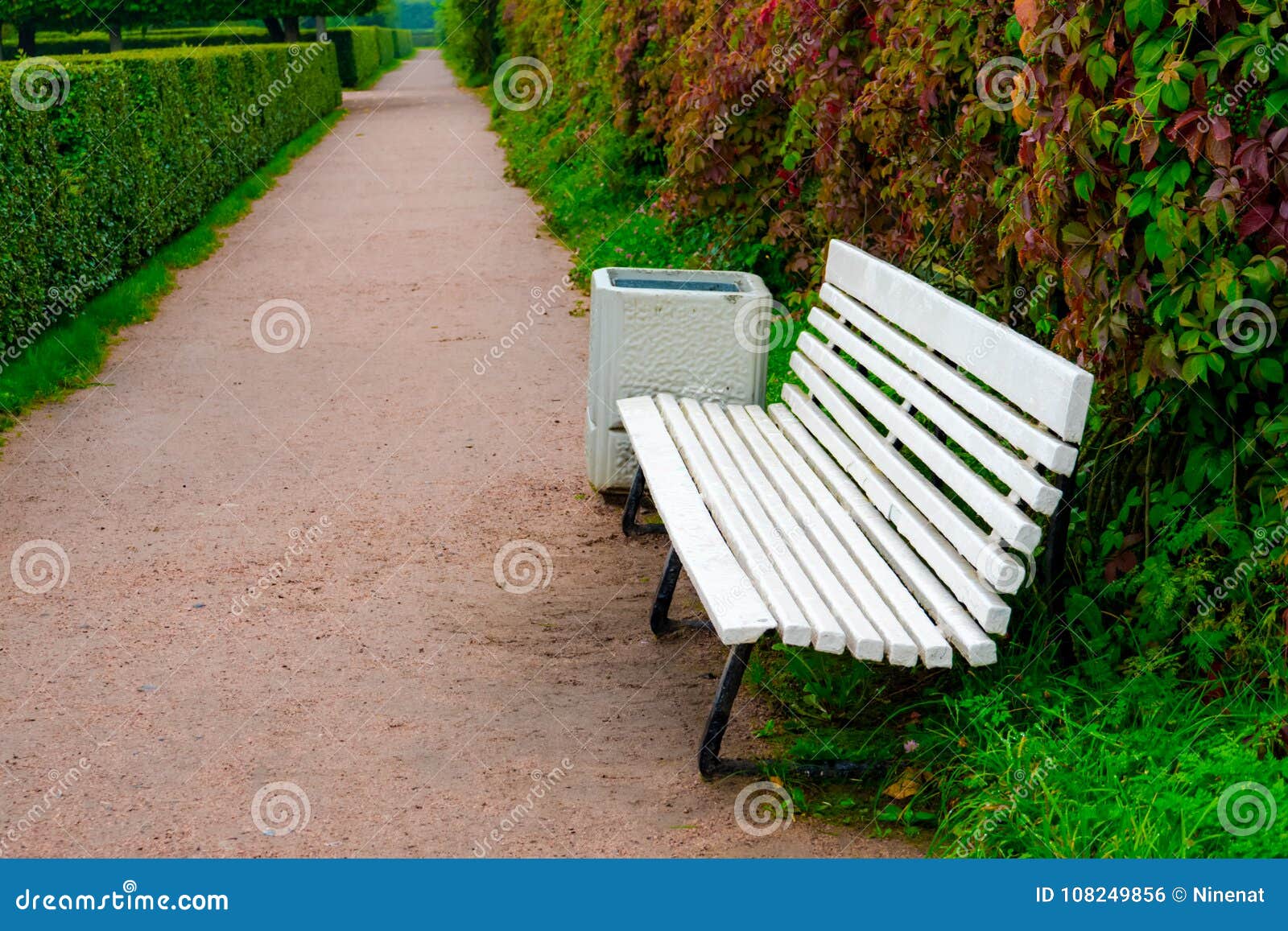 Bench in peaceful park stock photo. Image of fall, chair - 108249856