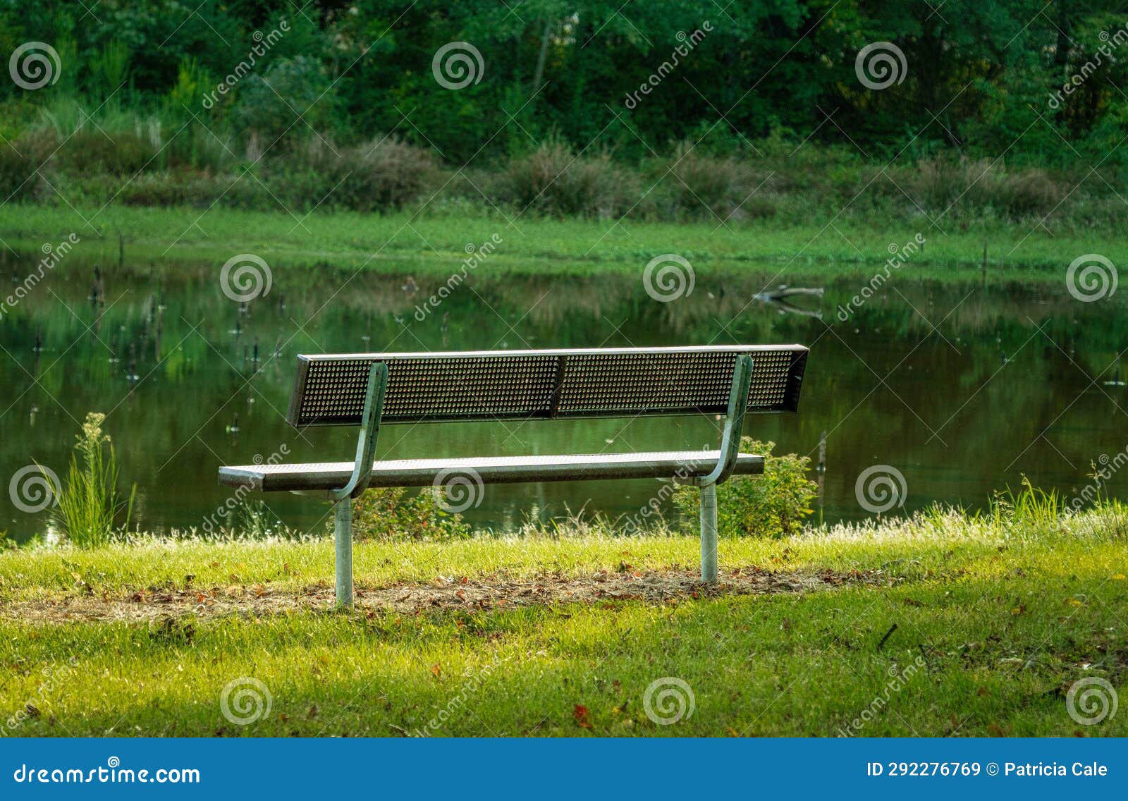 Bench in Peaceful Setting stock image. Image of green - 292276769