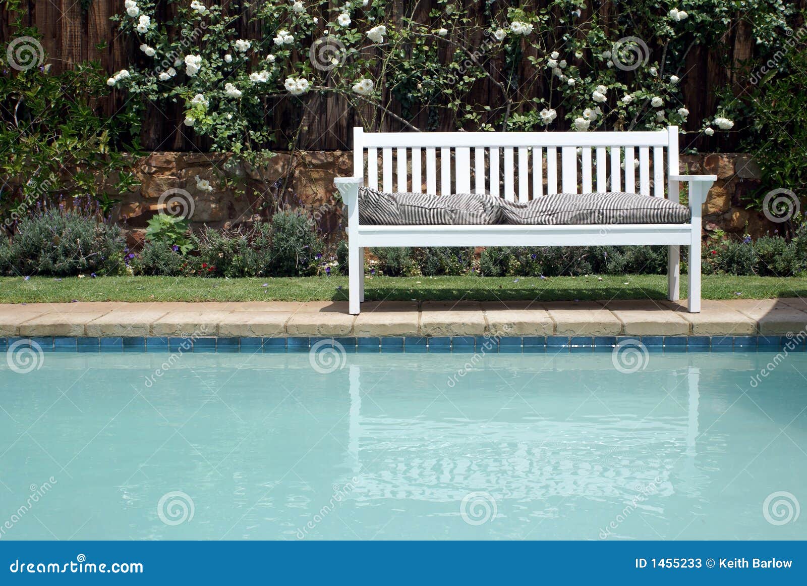 Bench and pool stock image. Image of laze, cushion, garden - 1455233