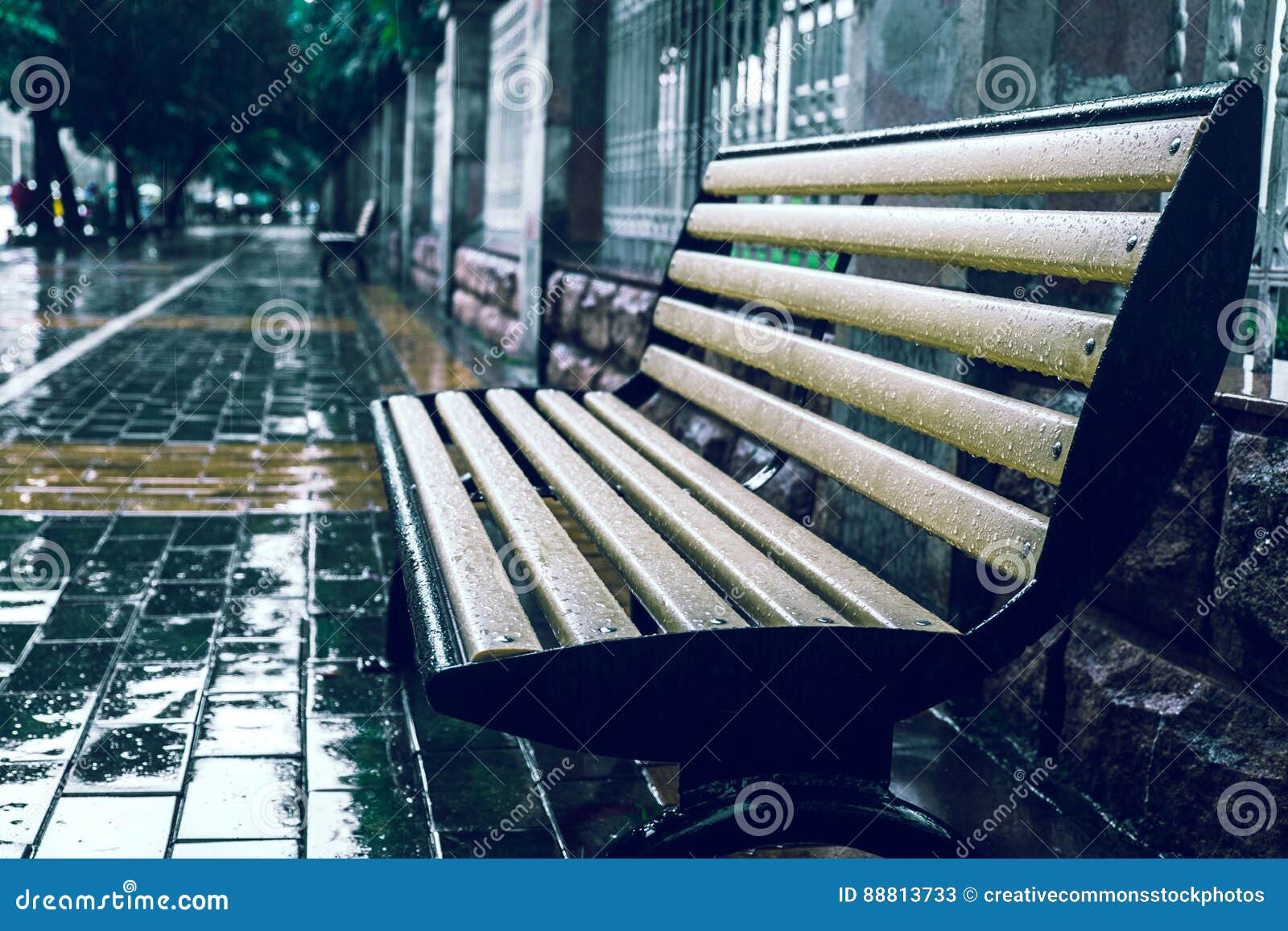 Bench In Rain Picture. Image: 88813733