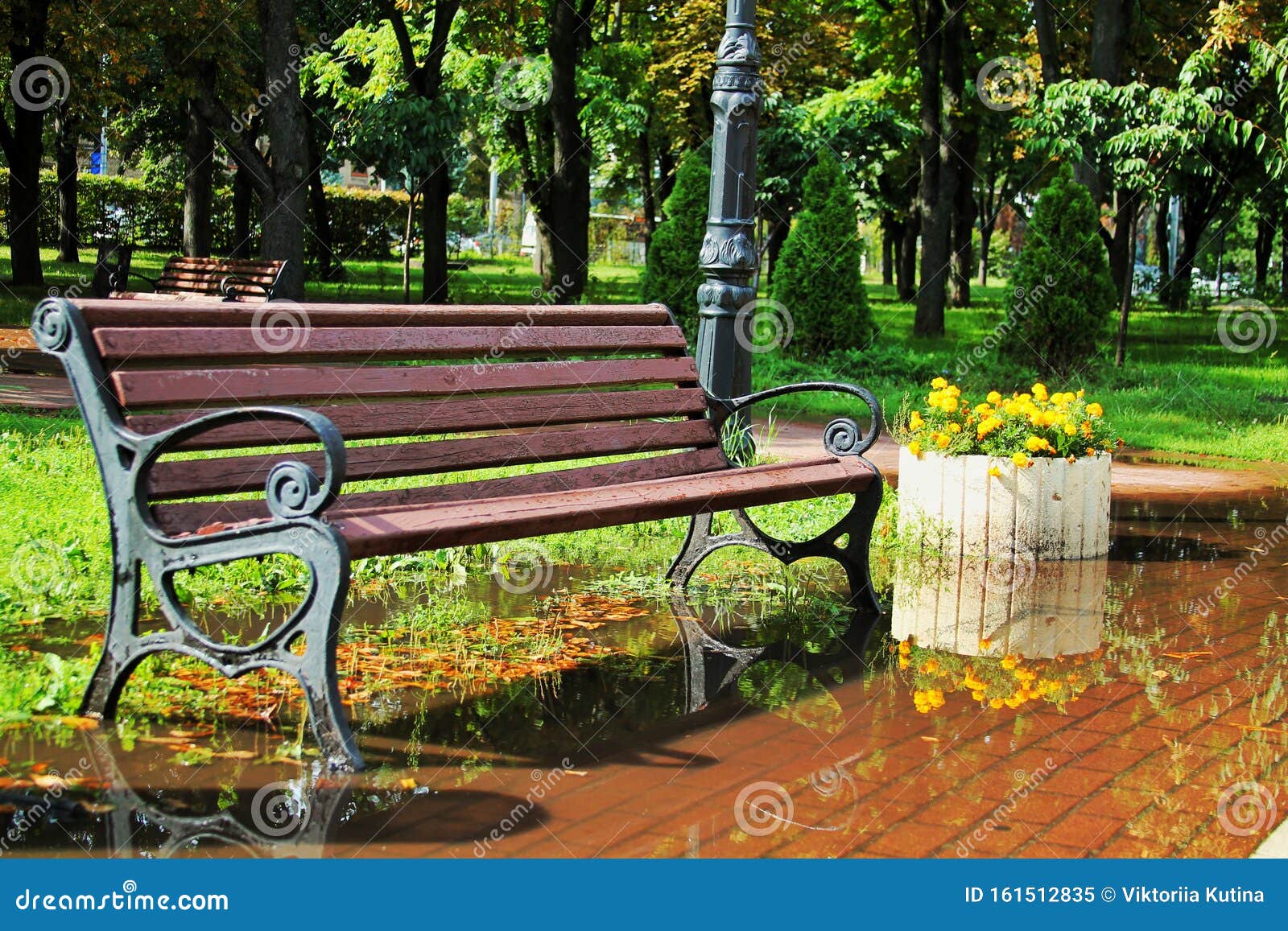 Bench after the rain stock image. Image of green, rain - 161512835